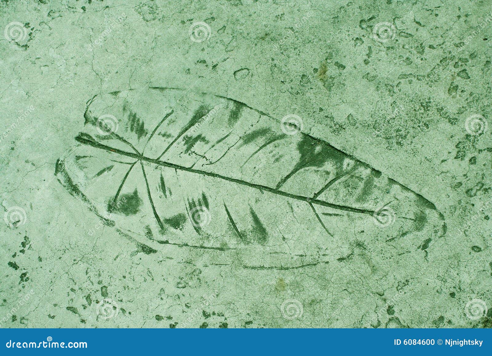 Leaf Impression in a Cement Green Sidewalk Stock Photo - Image of ...