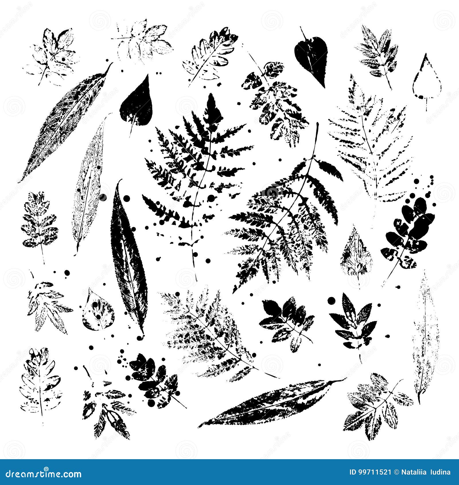 Imprints Of Leaves Royalty-Free Stock Photography | CartoonDealer.com ...
