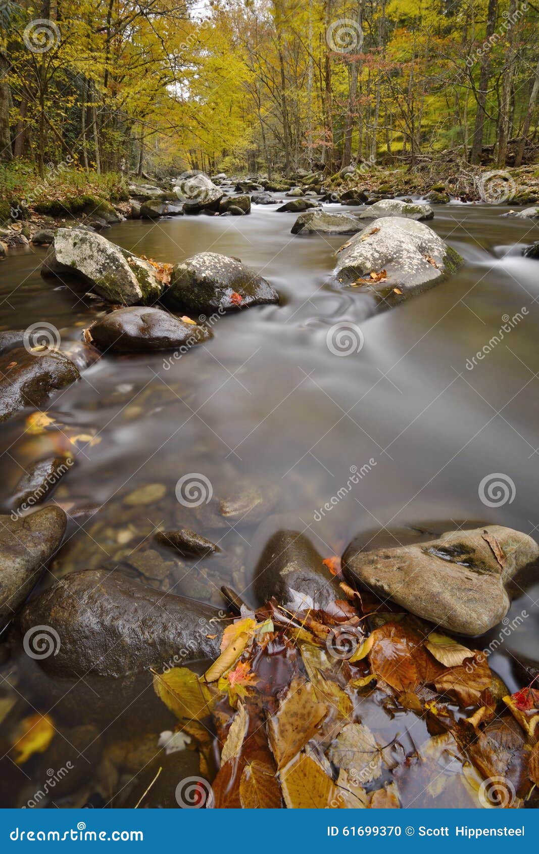 Leaf Jam stock photo. Image of bolders, vegetation, tennessee - 61699370