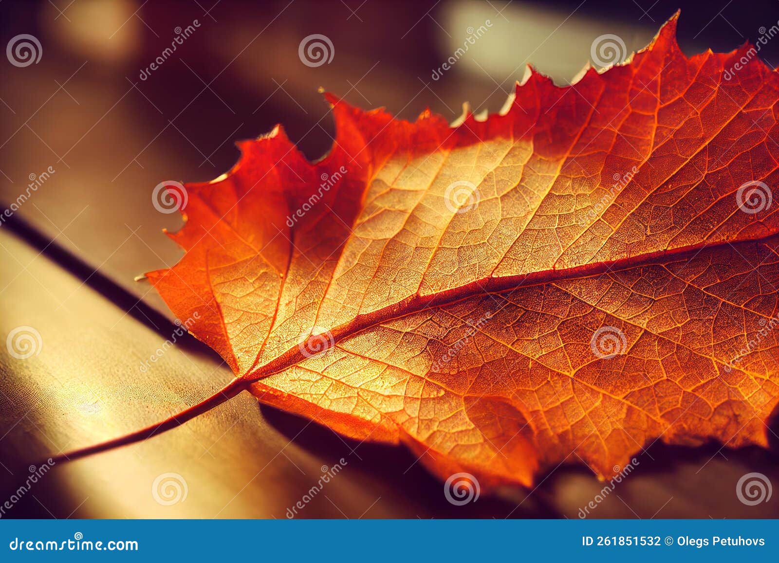 A Leaf that is Laying on a Table with a Light Shining on it and a ...