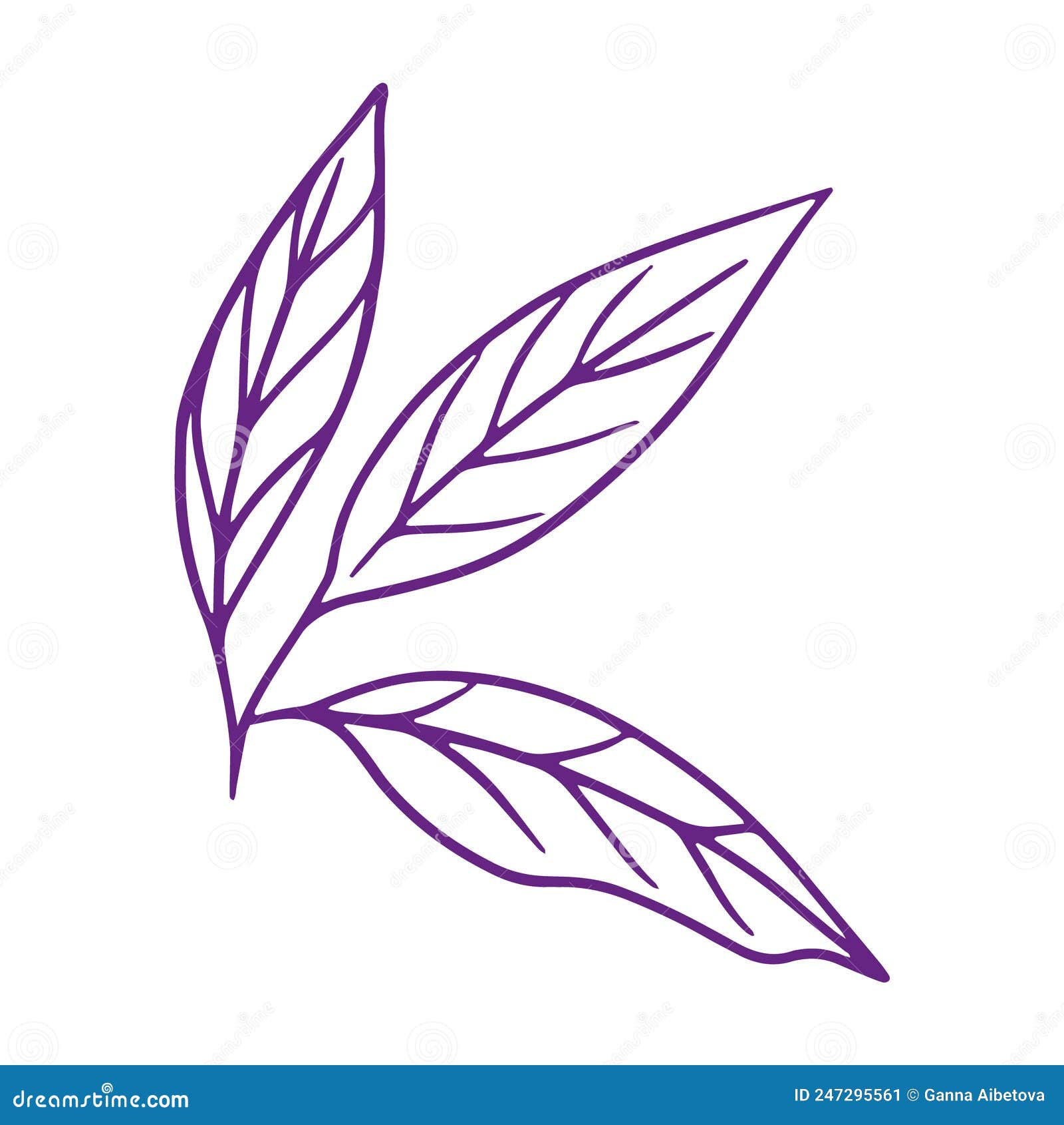 Leaf of Lemon Tree Outline Isolated on White Background Stock Vector ...