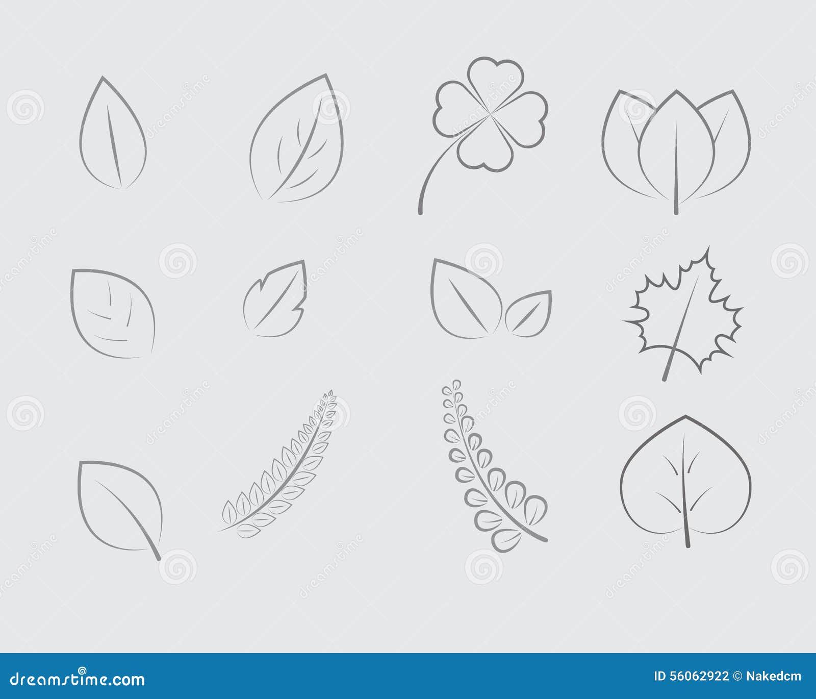 Leaf Line Design Vector stock vector. Illustration of leaf - 56062922