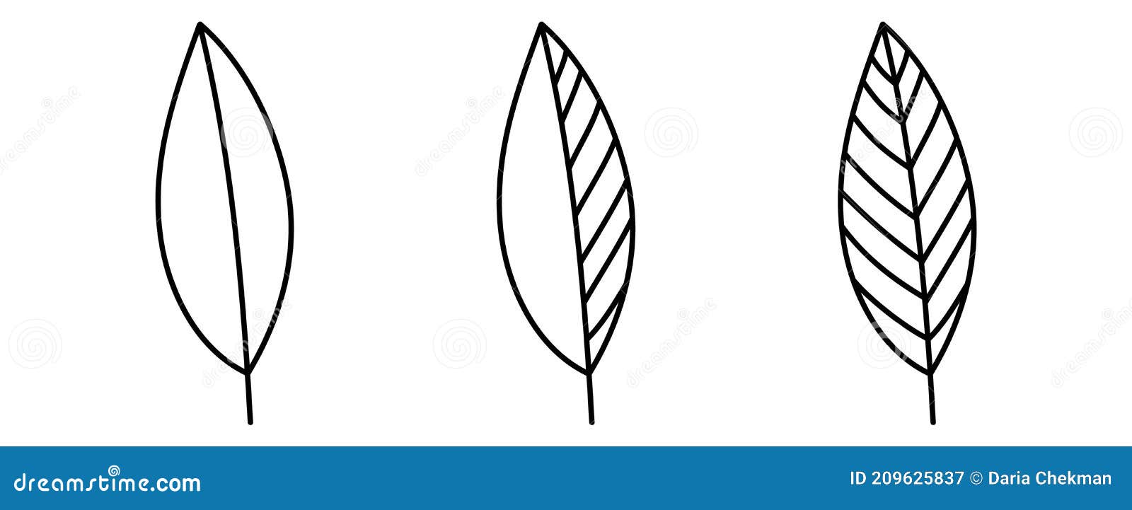 Leaf Line Icons Set. Vector Illustration Isolated on White Background ...