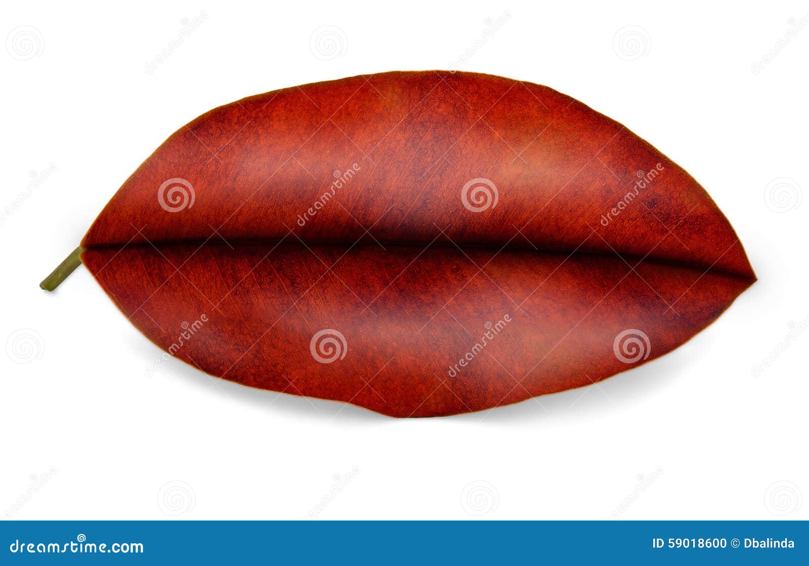Leaf Lips stock photo. Image of abstract, femininity - 59018600