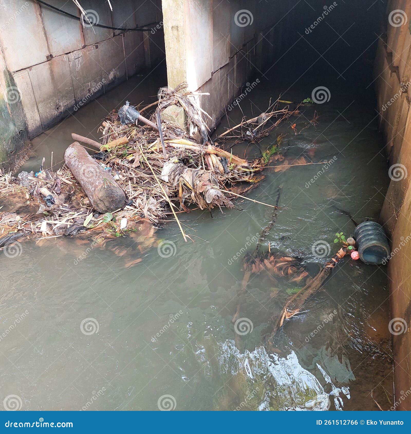 Leaf Litter and Household Waste that Clogs the River Flow Stock Photo ...