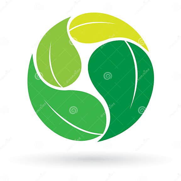 Leaf logo stock vector. Illustration of clean, leaf, design - 23135854