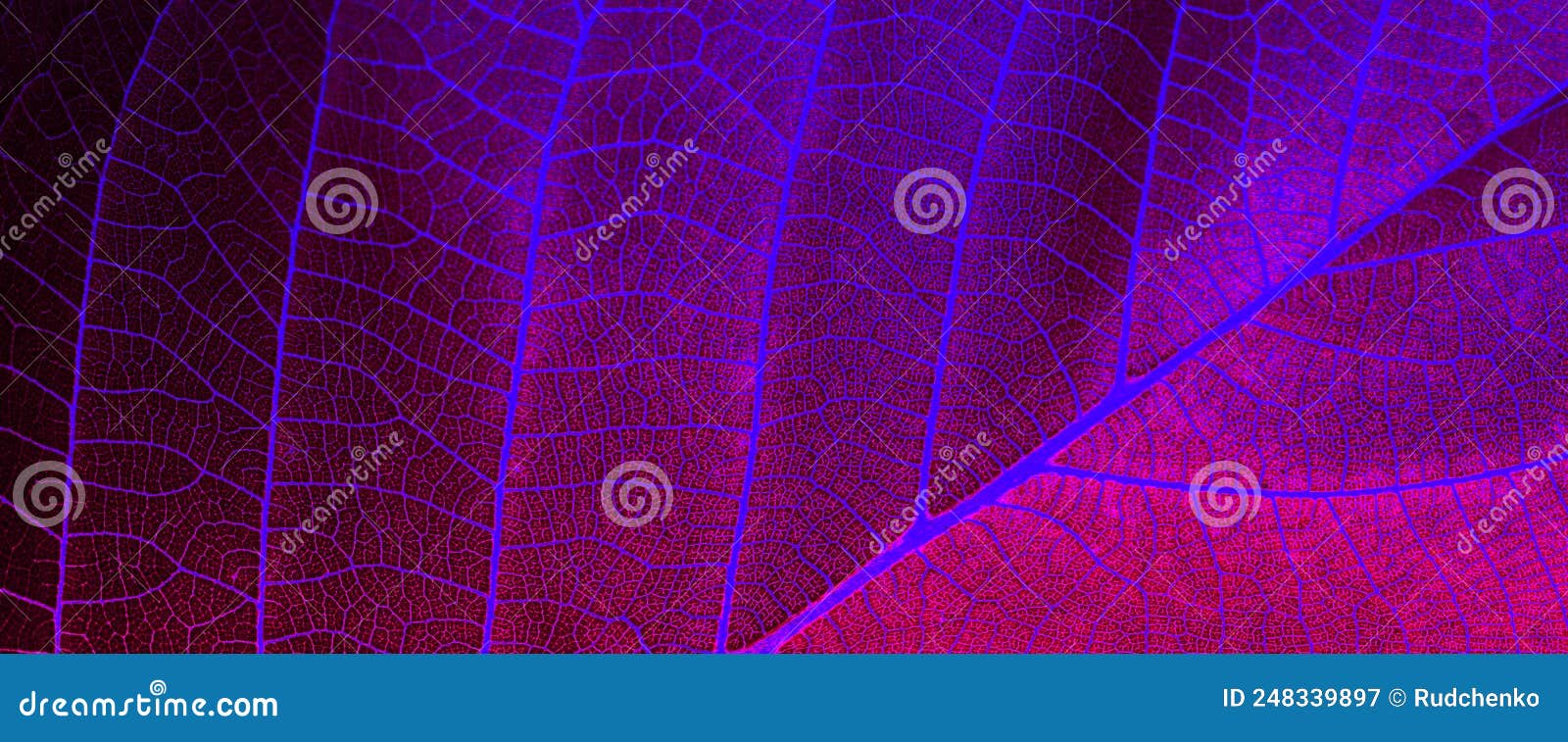 Saturated Pink Glitter Texture, Your New Wallpaper For Design View ...