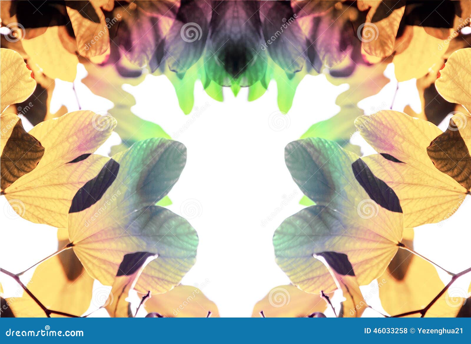 Leaf margin stock photo. Image of botanical, border, flora - 46033258