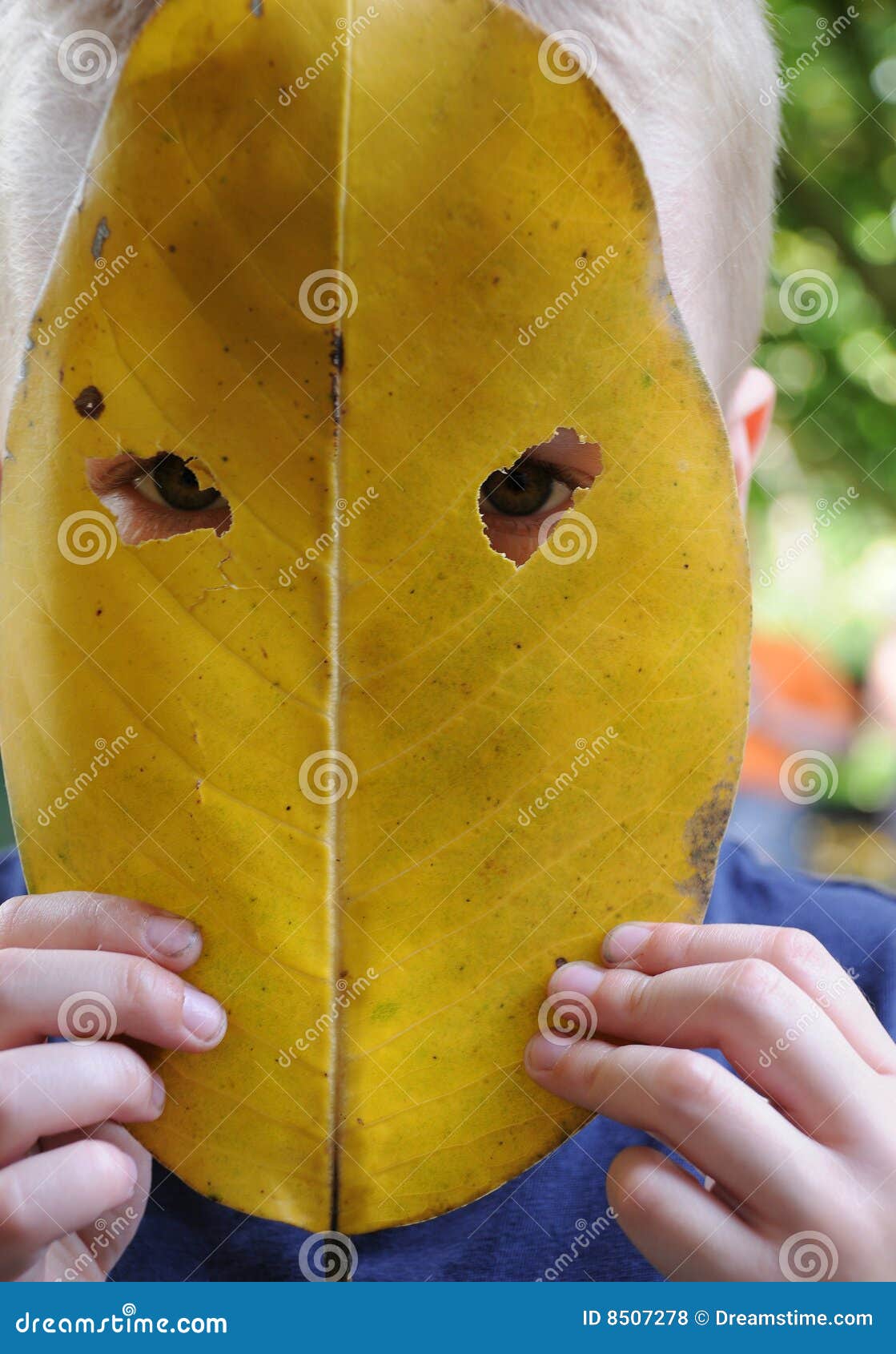Leaf_mask stock photo. Image of hiding, leaf, stare, hole - 8507278