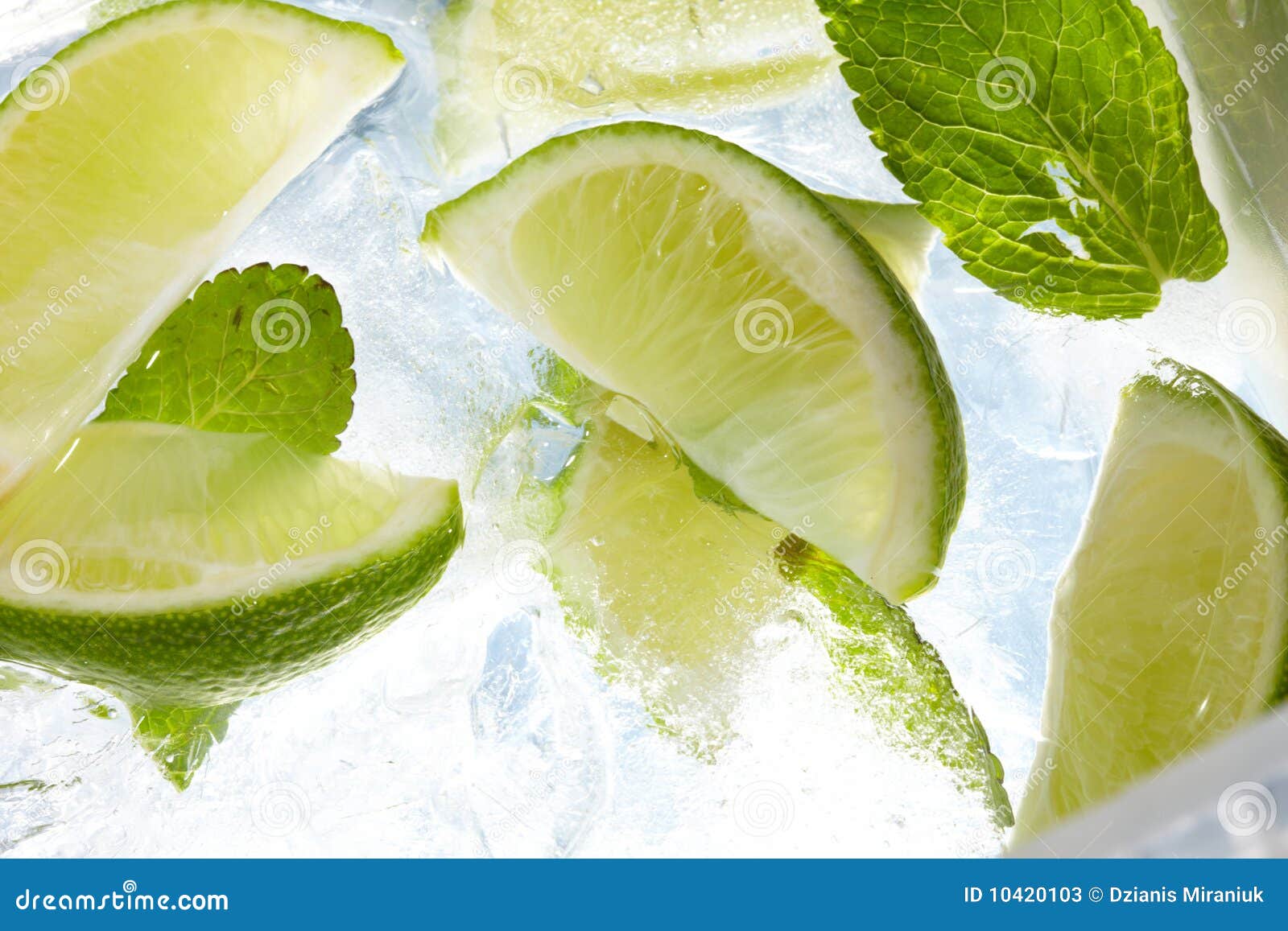 Leaf mint and cut citrus stock image. Image of cocktail - 10420103