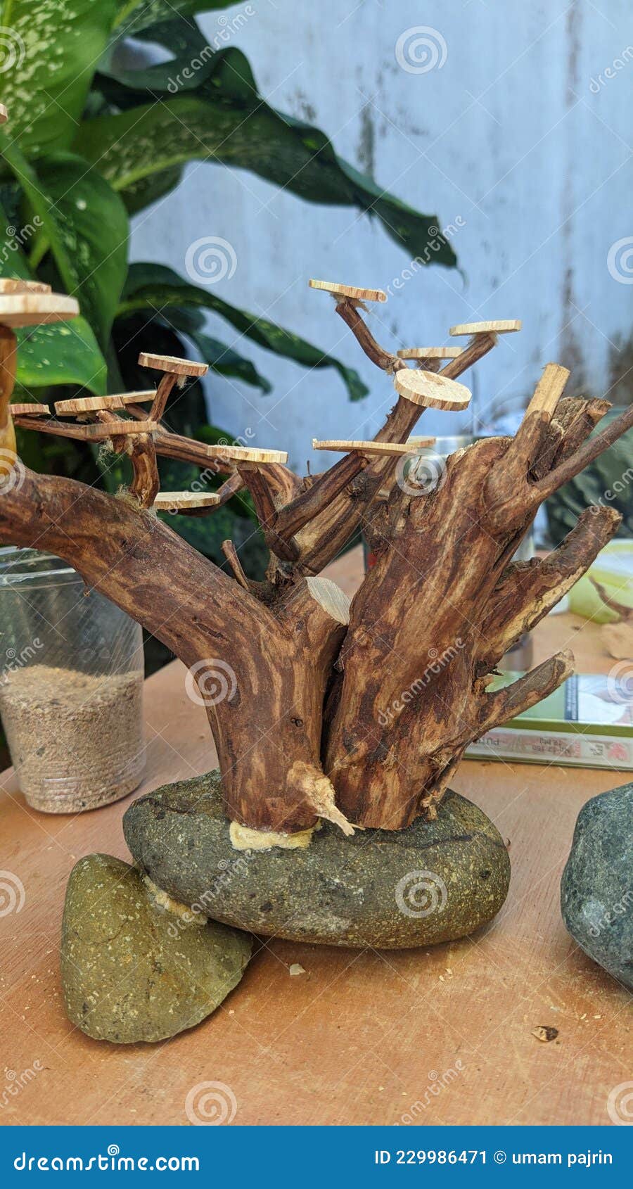 The leaf moon stock image. Image of beautiful, moon - 229986471