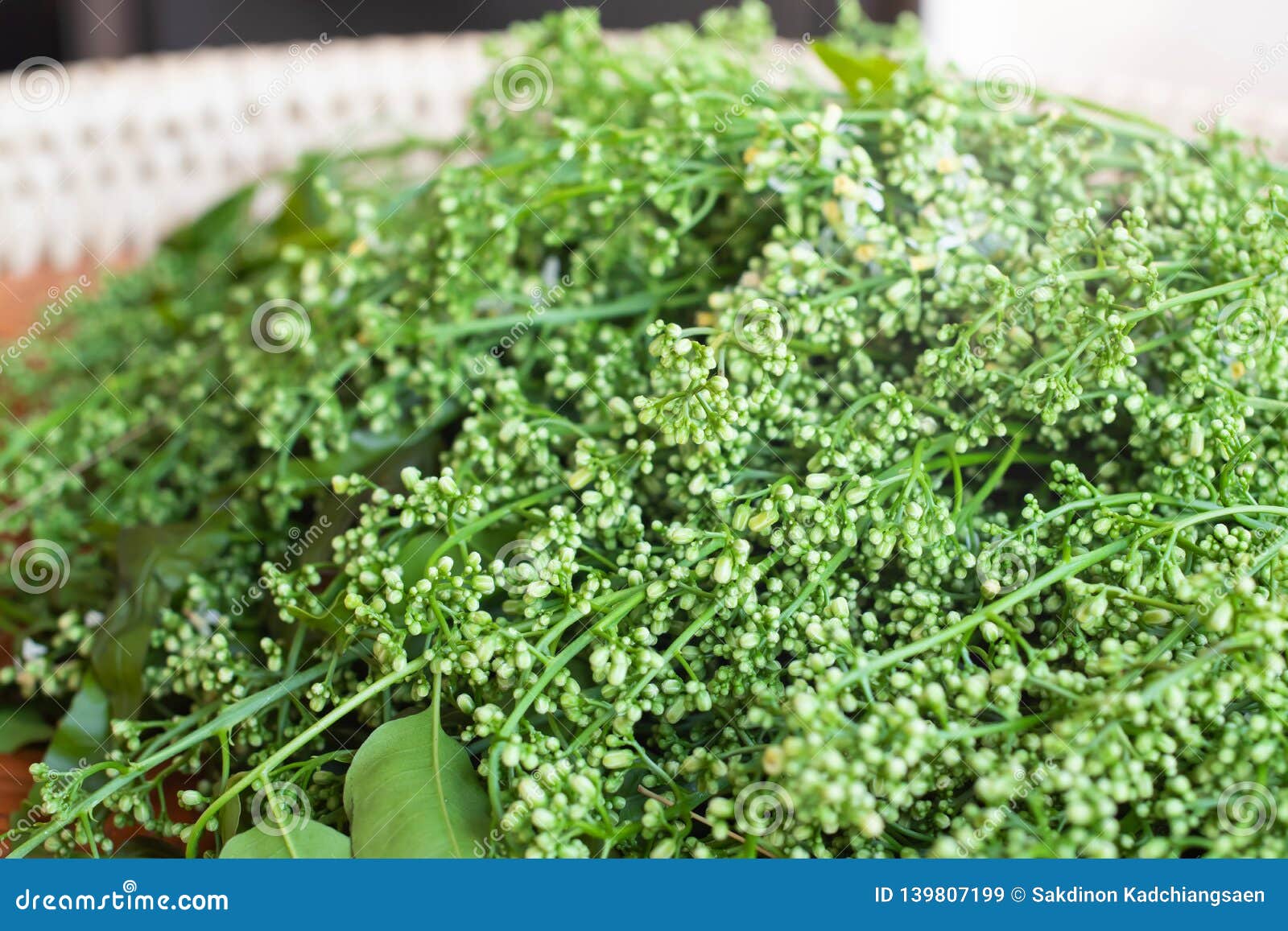 New Top Leaf Of Neem Plant. Azadirachta Indica - A Branch Of Neem Tree ...