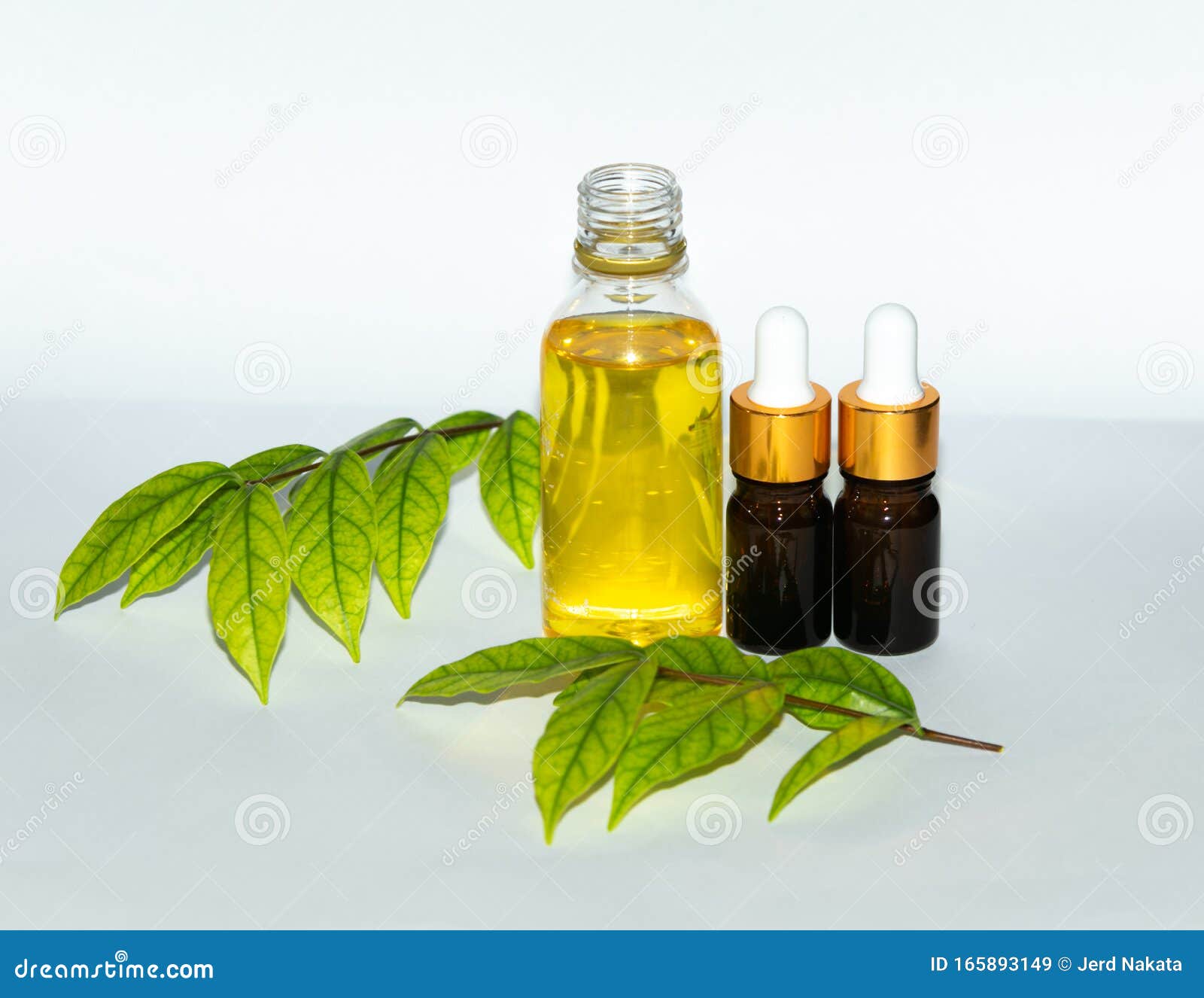 Leaf Oil in Bottle and Fresh Leaf on White Background Stock Image ...