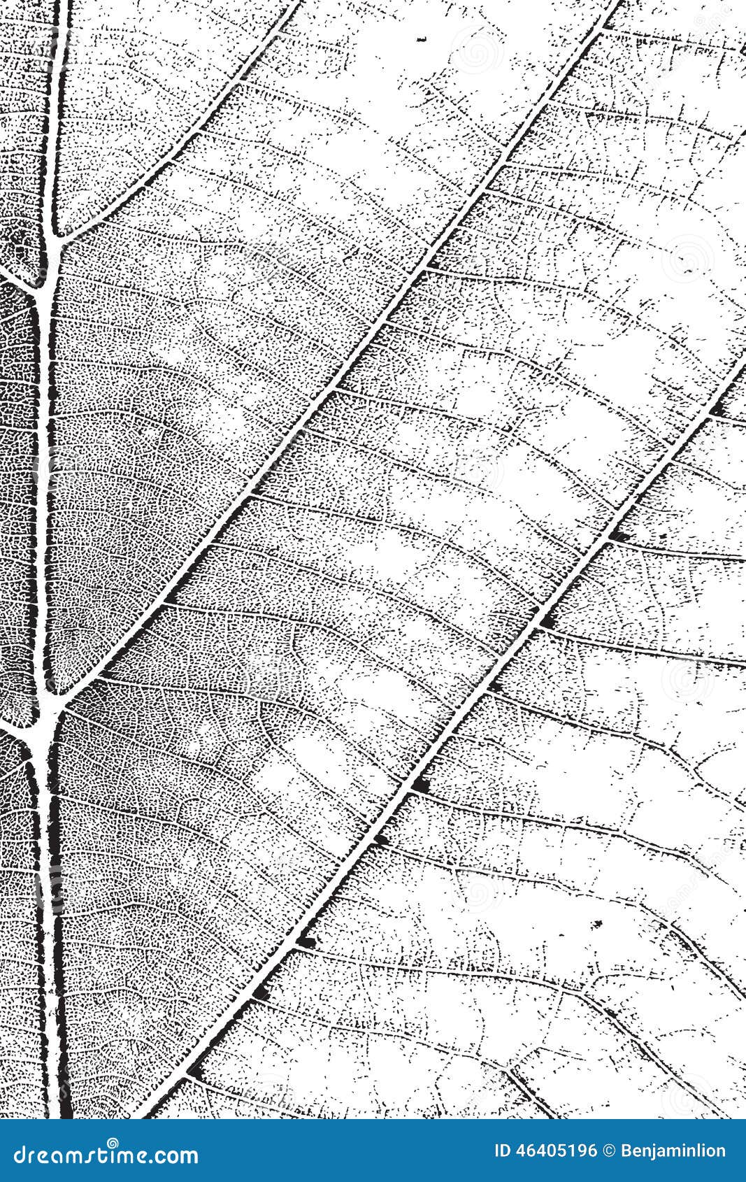 Leaf Overlay Texture stock vector. Illustration of canada - 46405196