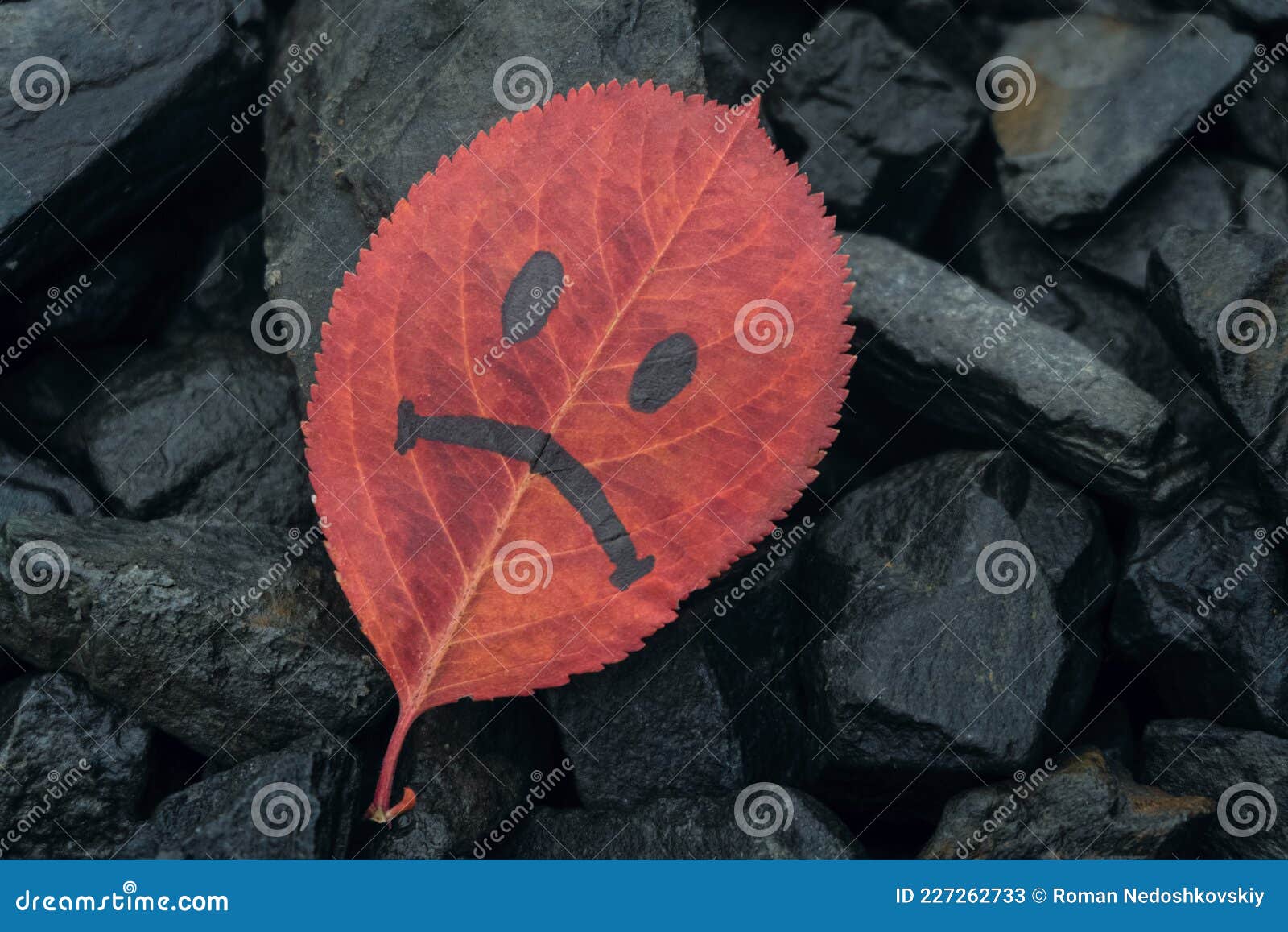 Leaf with painted sad face stock image. Image of conceptual - 227262733