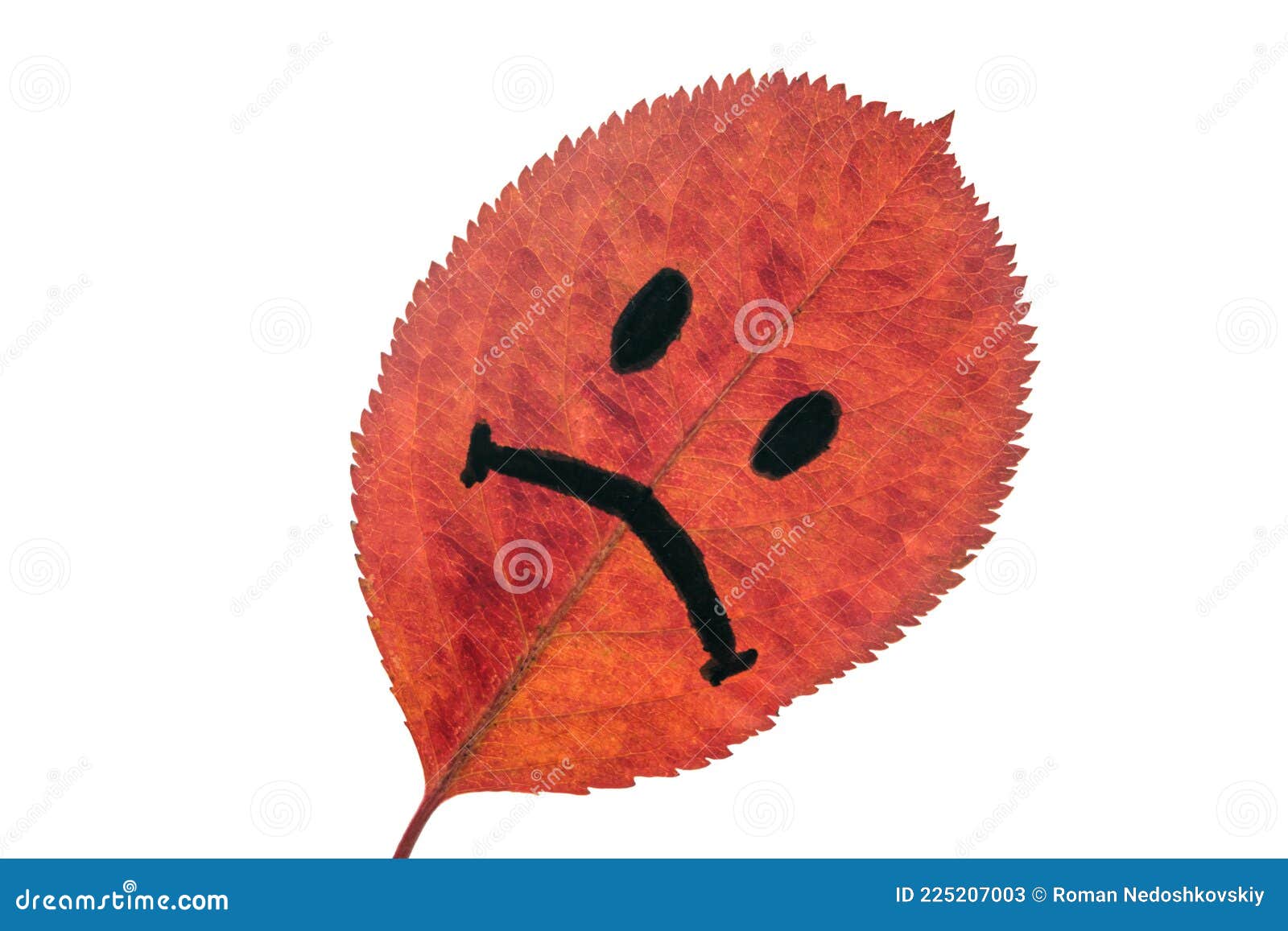 Leaf with Painted Sad Face. Concept Expression of Emotion Stock Image ...