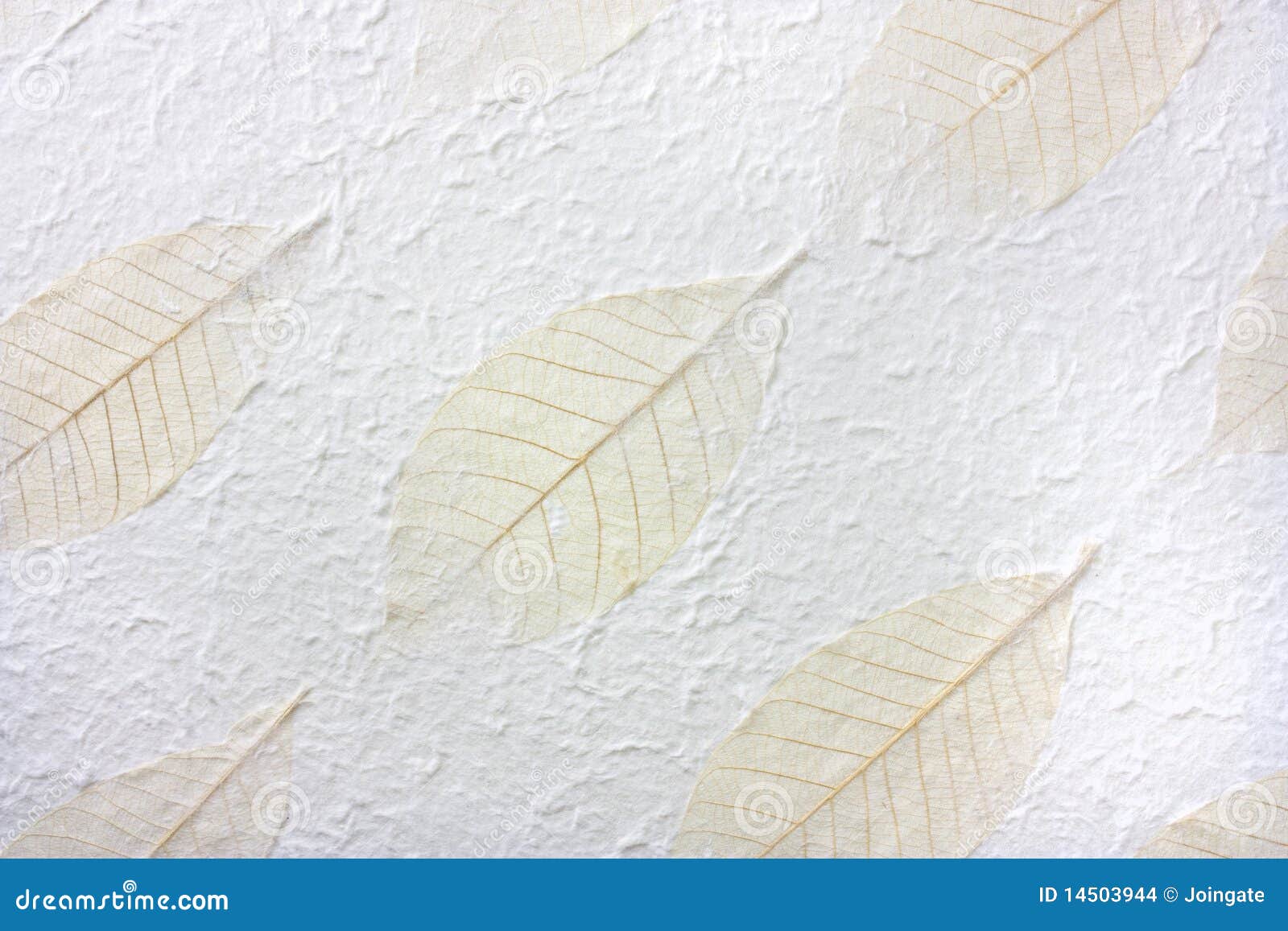 Leaf paper stock photo. Image of watercolour, nature - 14503944