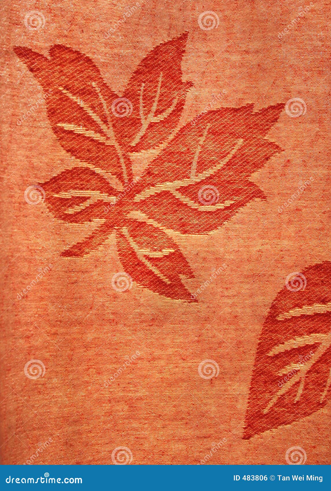 Leaf Pattern stock photo. Image of leaves, canvas, botanical - 483806