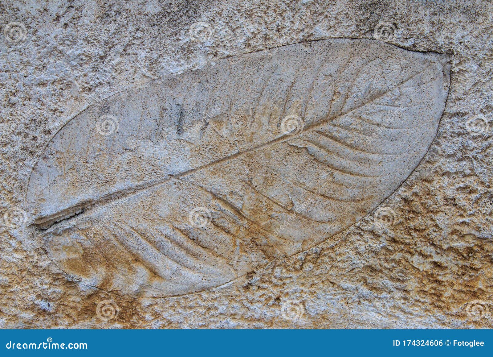 Leaf Pattern on Cement Texture and Background Stock Photo - Image of ...