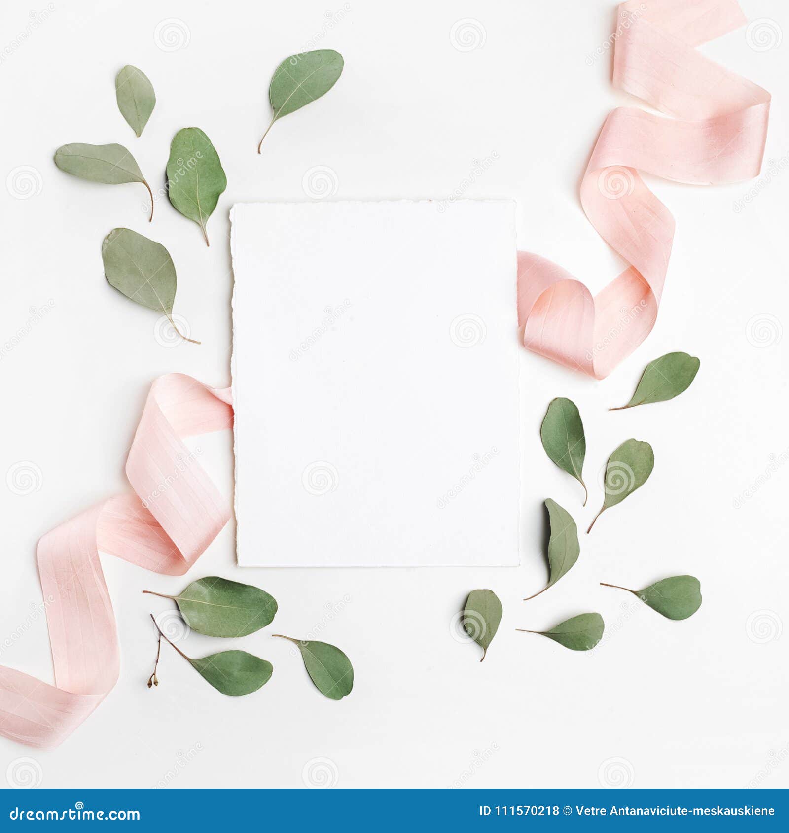 Leaf Pattern. Frame Made of Green Leaves on White Background. Flat Lay ...