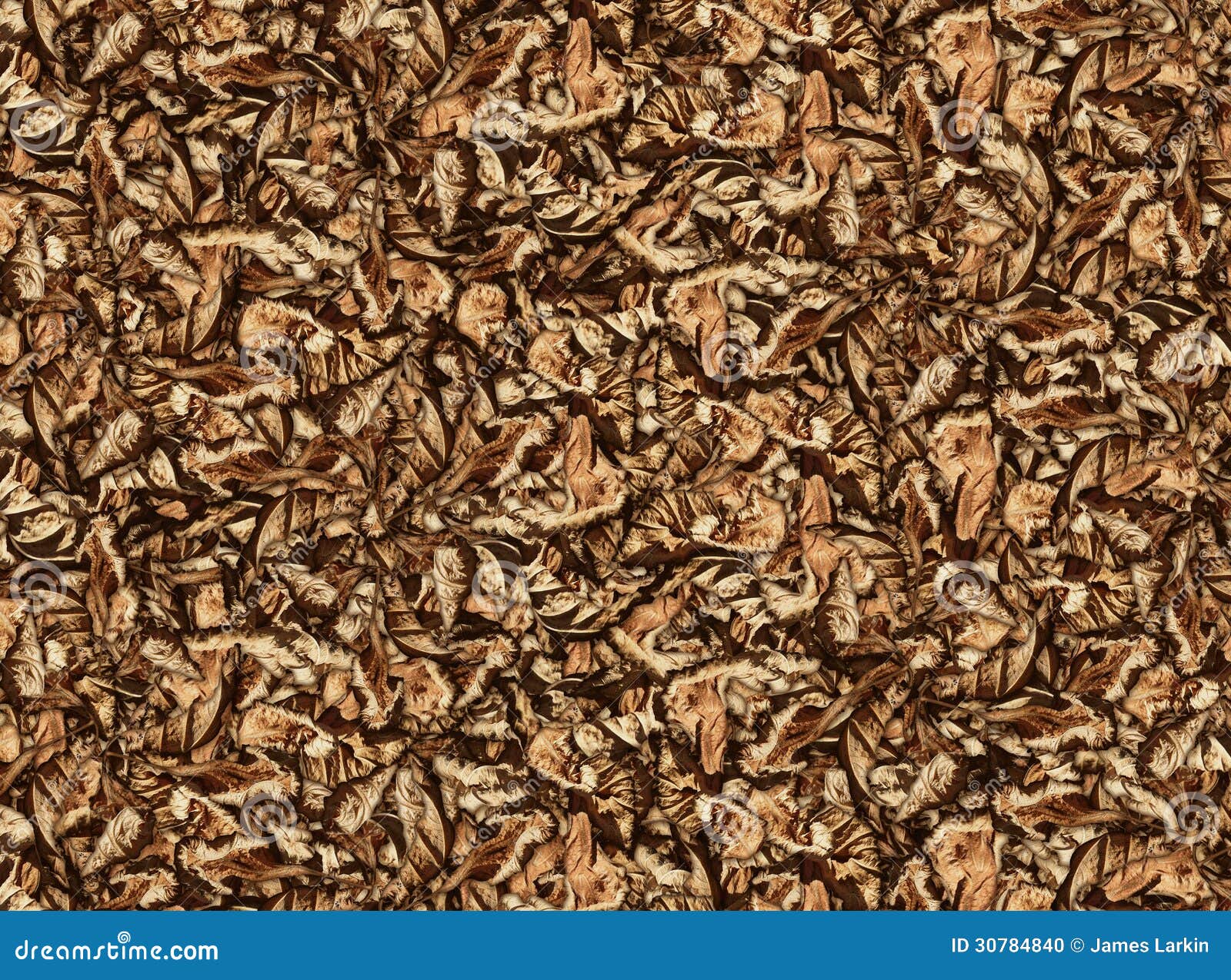 Leaf Pattern stock photo. Image of pattern, leaves, autumn - 30784840