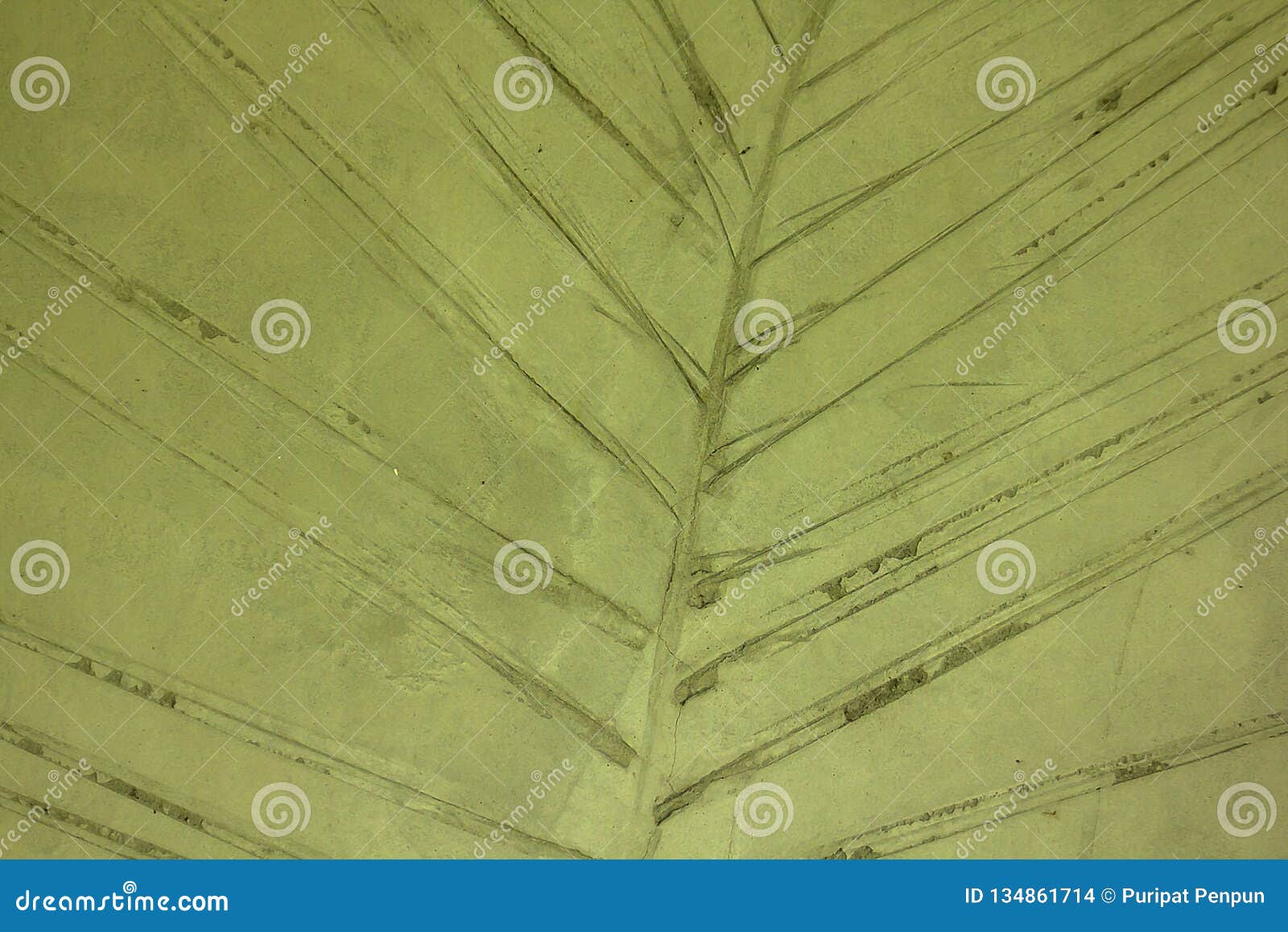 Leaf Pattern Stamped on the Old Walls. Stock Photo - Image of green ...