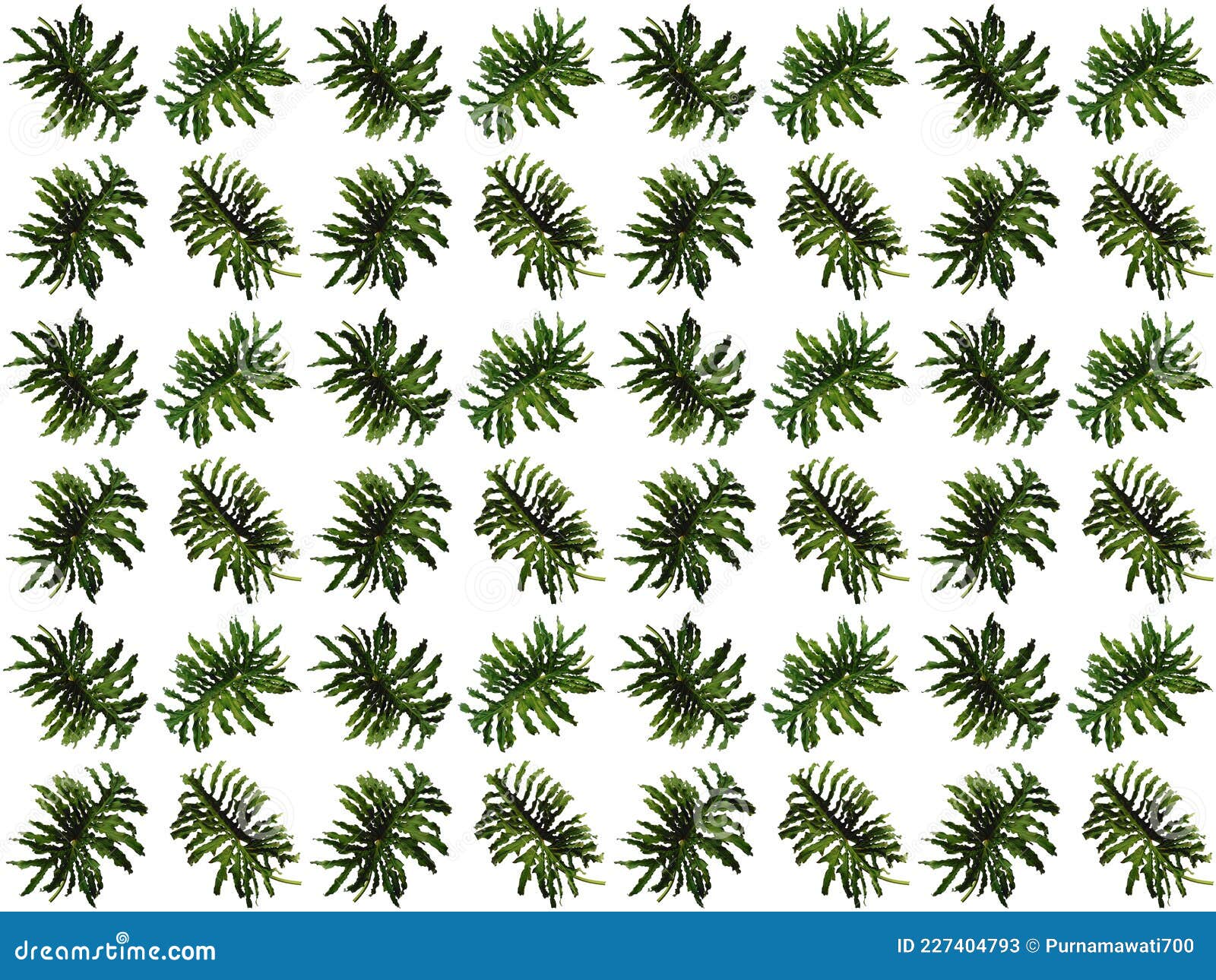 Leaf Pattern with a White Background. Leaves Pattern. Stock Image ...