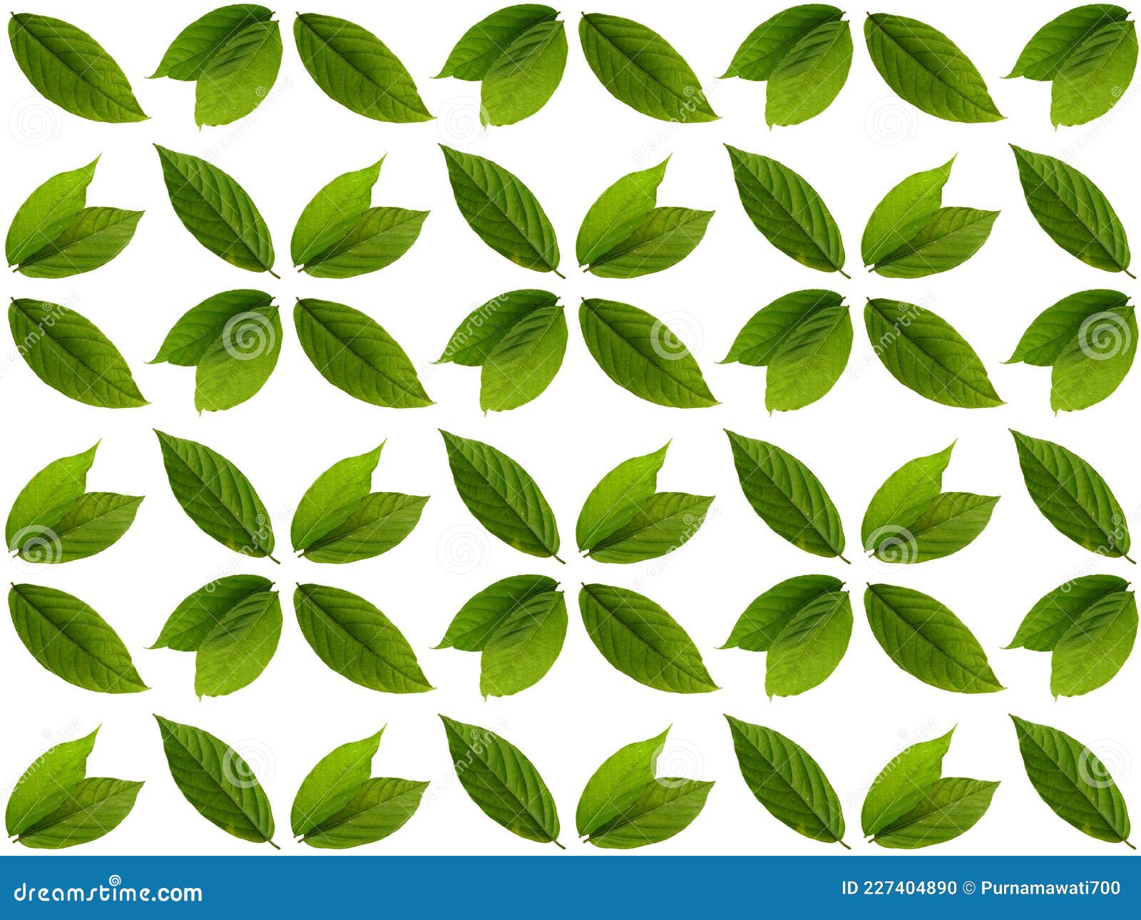 Leaf Pattern with a White Background. Leaves Pattern. Stock Photo ...