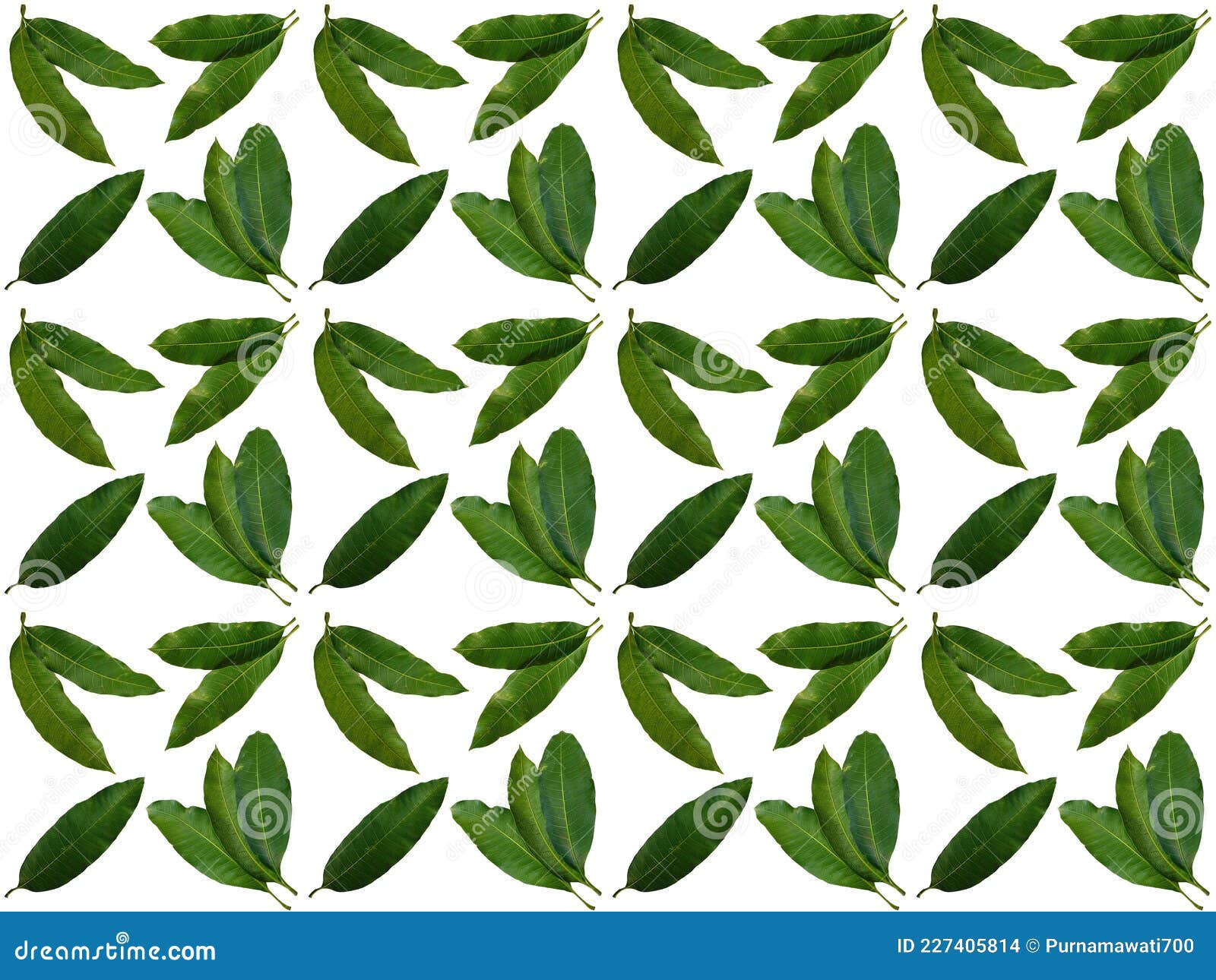 Leaf Pattern with a White Background. Leaves Pattern. Stock Photo ...