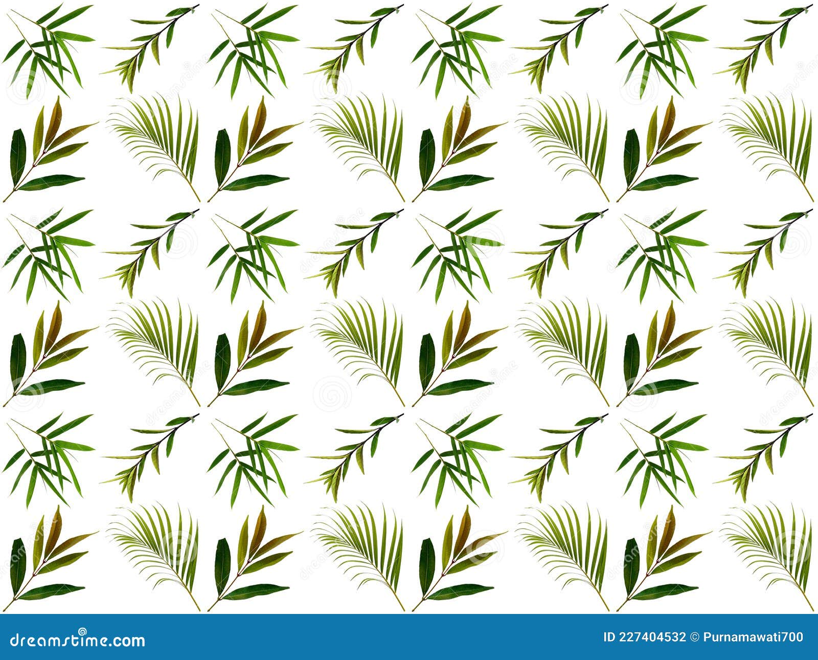 Leaf Pattern with a White Background. Leaves Pattern. Stock Photo ...