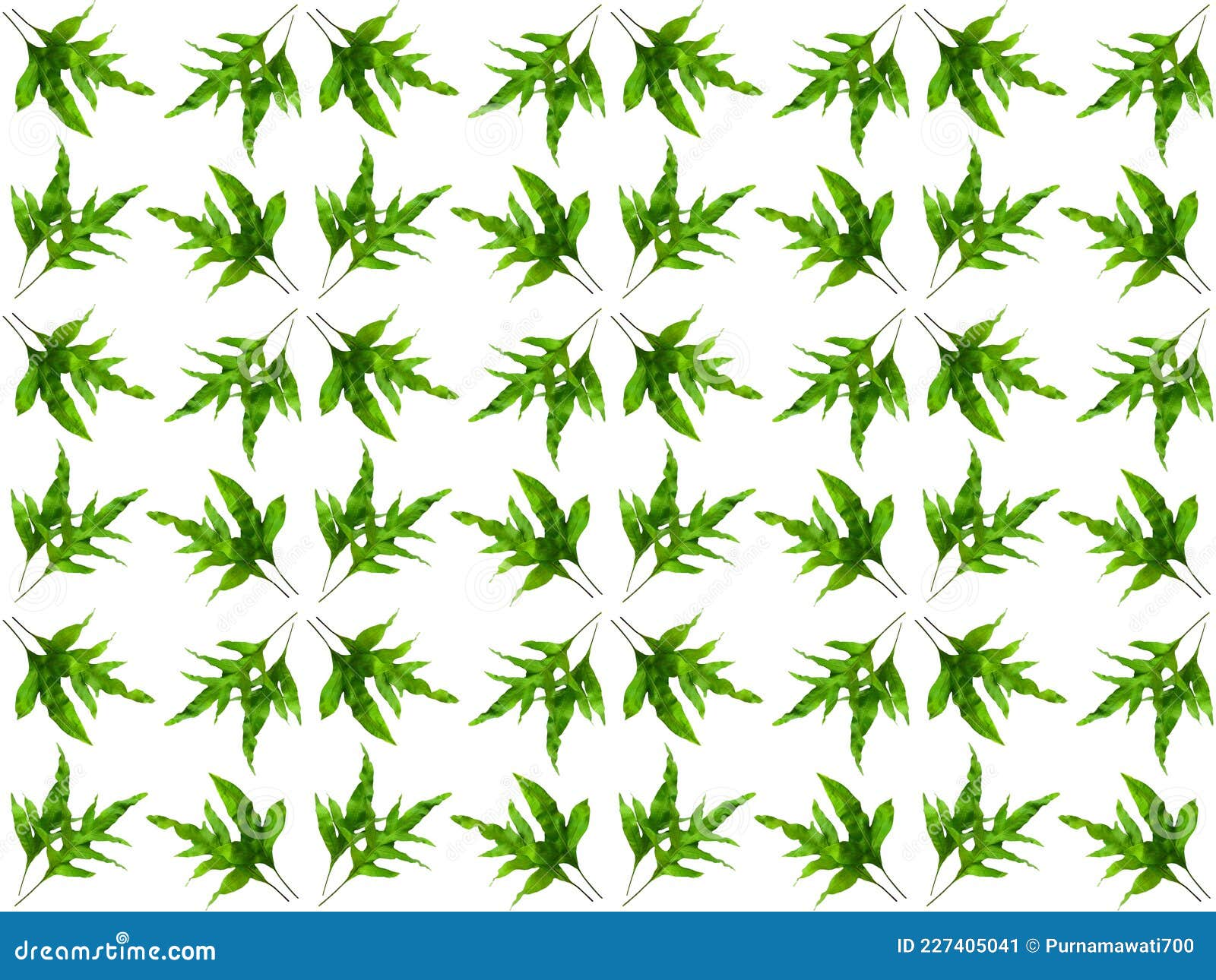 Leaf Pattern with a White Background. Leaves Pattern. Stock Image ...