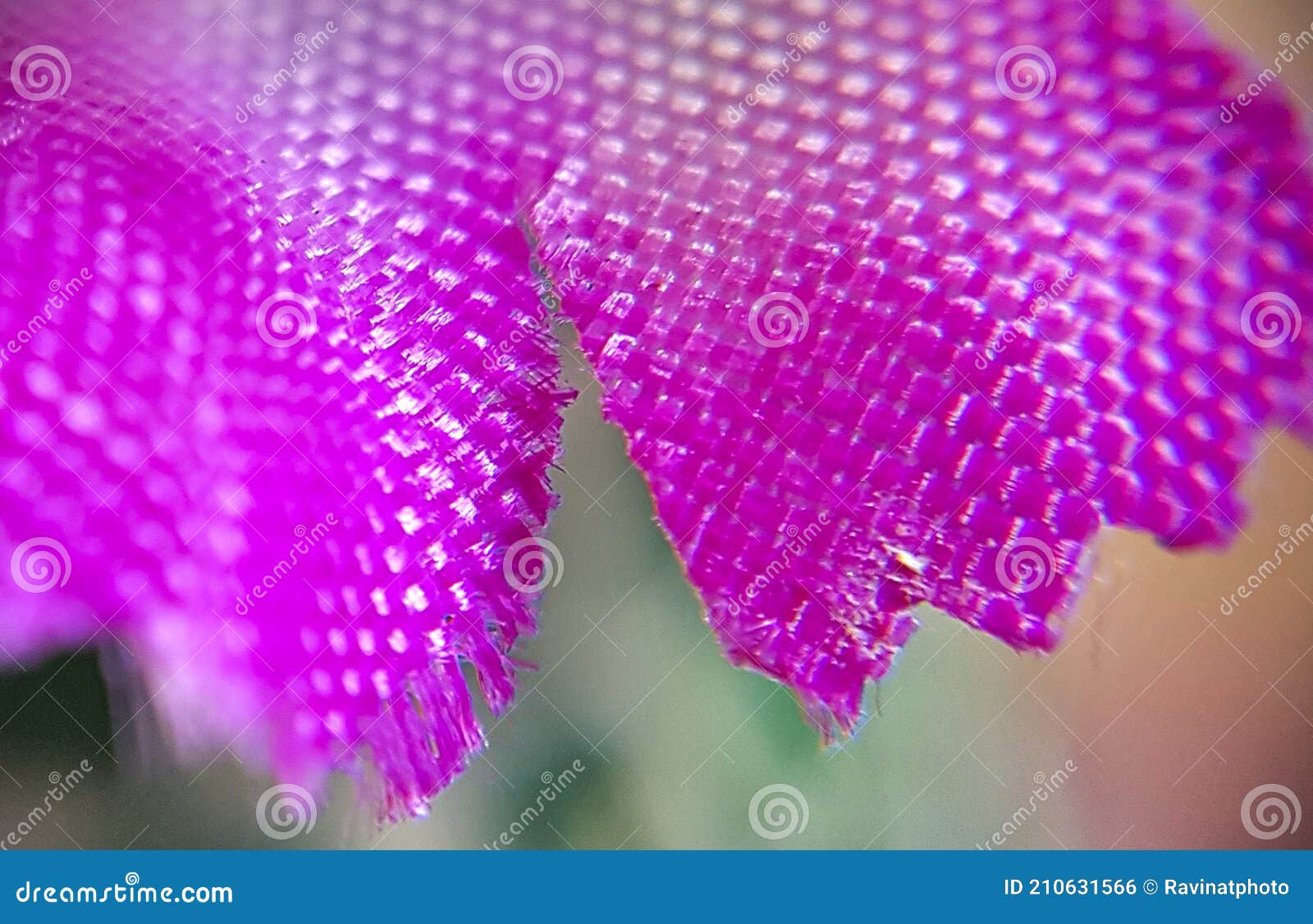 Leaf Petals Done with Plastic Seen Extremely Close Show a Pattern Stock ...