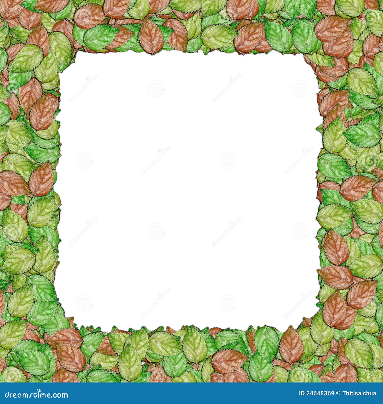 Leaf photo frame border stock illustration. Illustration of development ...