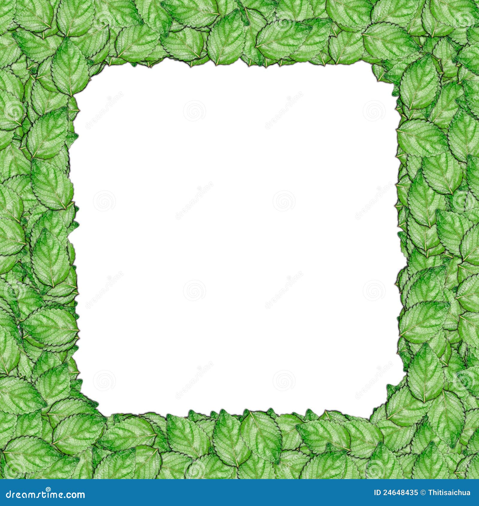 Leaf photo frame border stock image. Image of fall, frame - 24648435