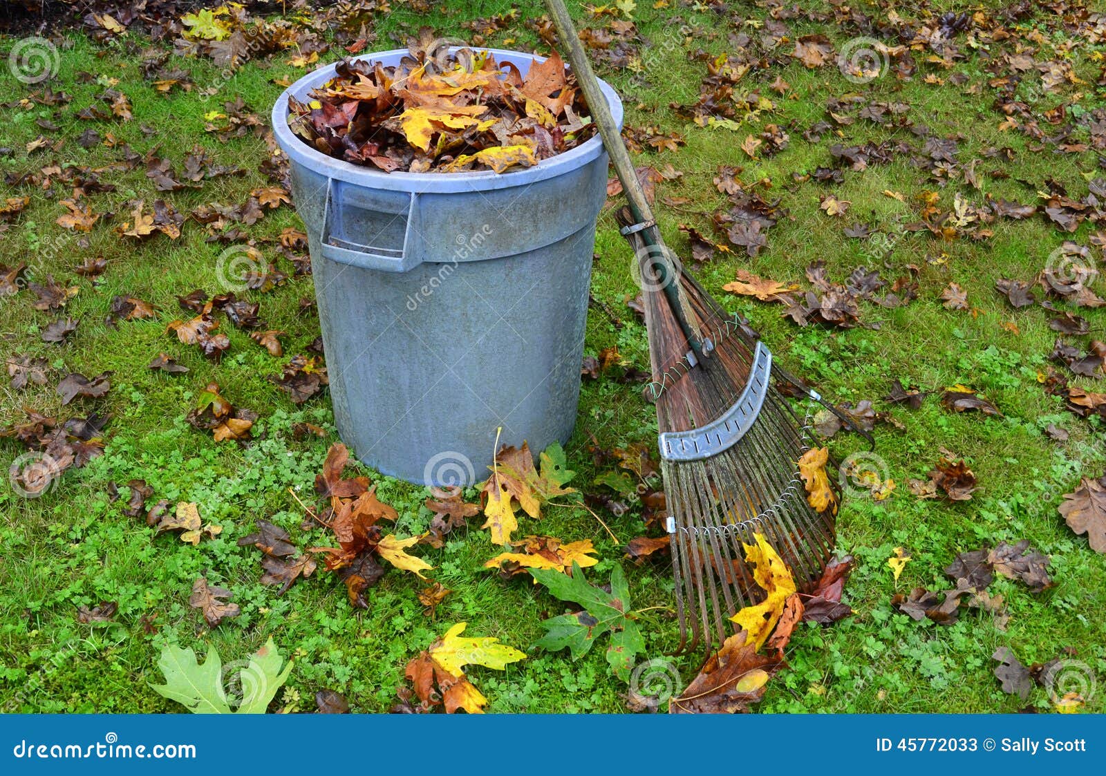 1,149 Leaf Pickup Stock Photos - Free & Royalty-Free Stock Photos from ...