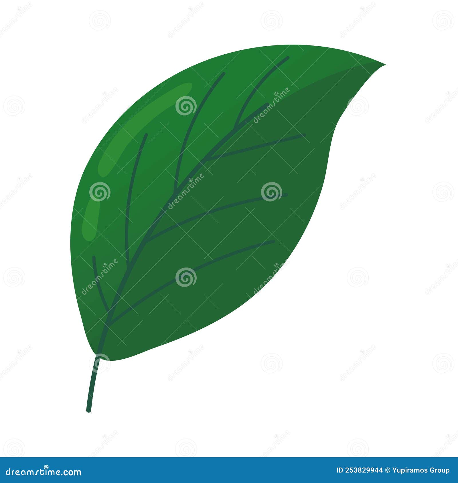Leaf plant icon stock vector. Illustration of leaf, vector - 253829944