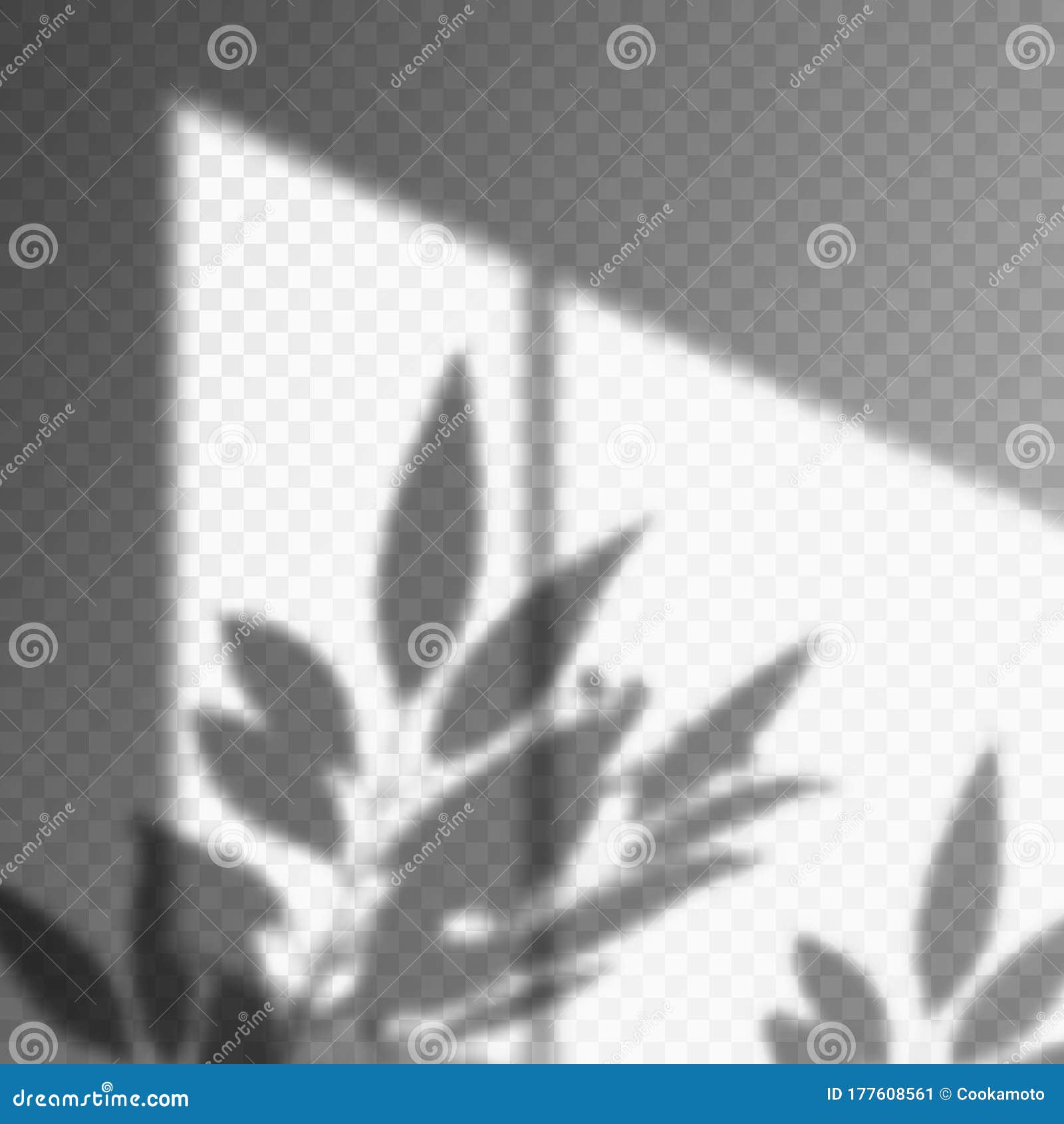 Leaf or Plant Shadow on Transparent Background Stock Image - Image of ... Leaf or Plant Shadow on Transparent Background Stock Image - Image of ...
