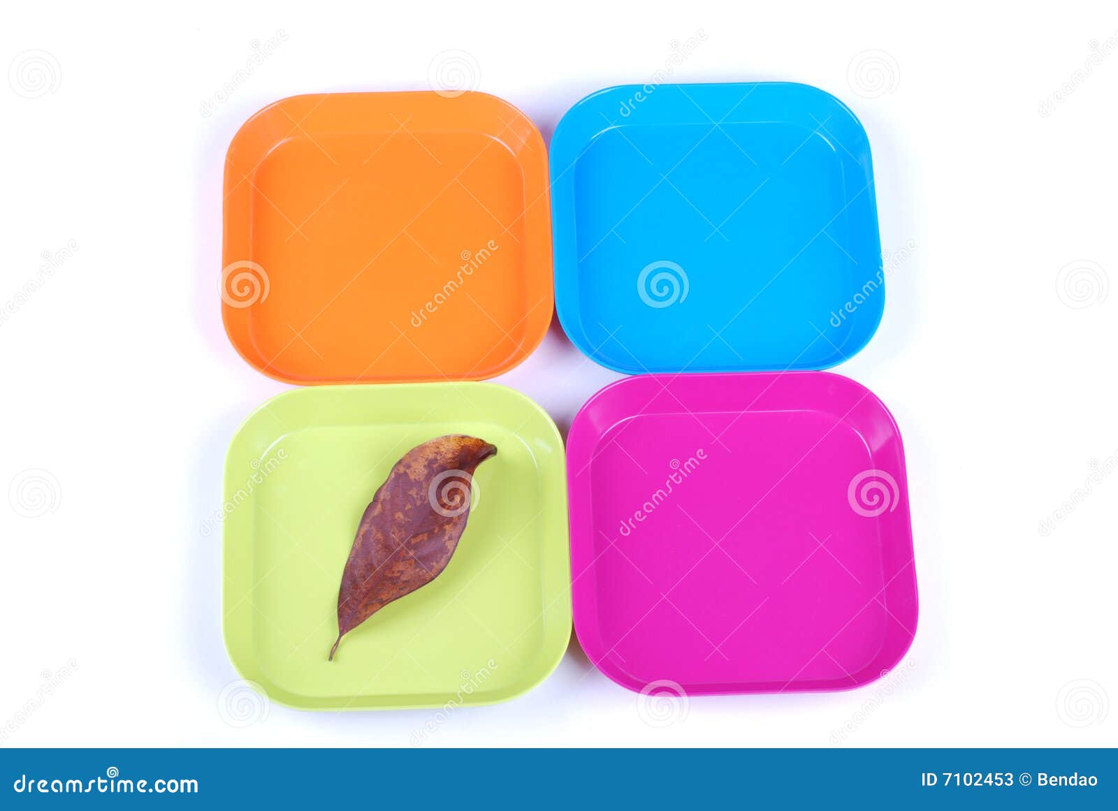 Leaf in plate stock image. Image of green, quadrate, orange - 7102453