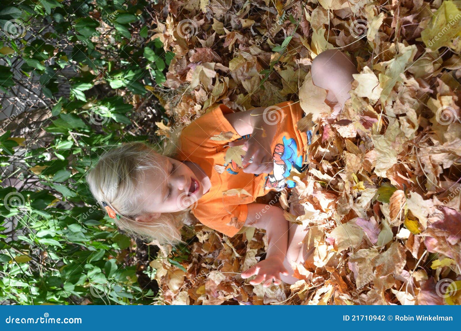 Leaf play stock photo. Image of autumn, play, sitting - 21710942