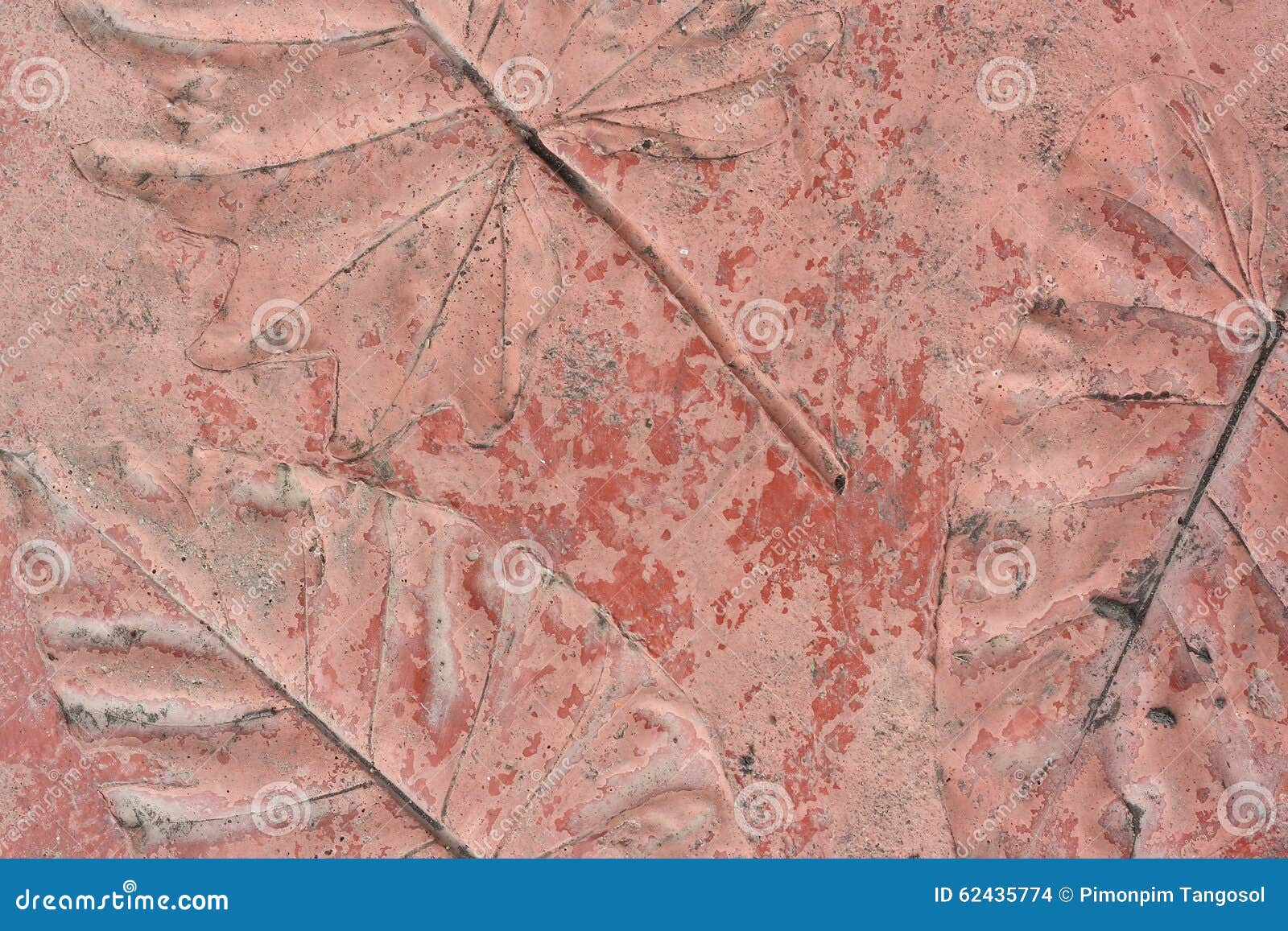 Leaf Print on Cement Texture Stock Photo - Image of design, brick: 62435774