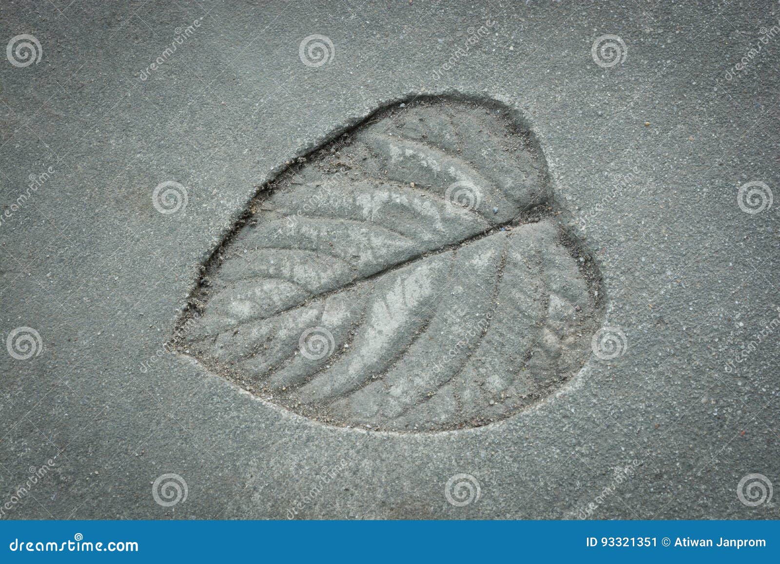 Leaf Print on Cement Texture Stock Image - Image of copy, paint: 93321351