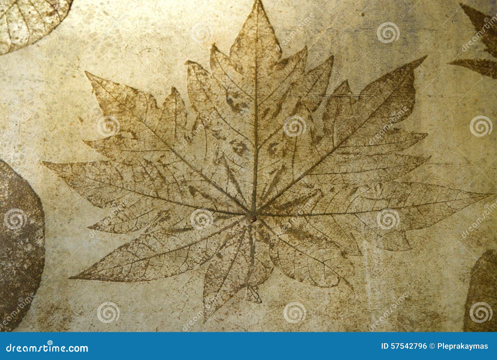 Leaf Print on Concrete Texture Stock Photo - Image of marble ...