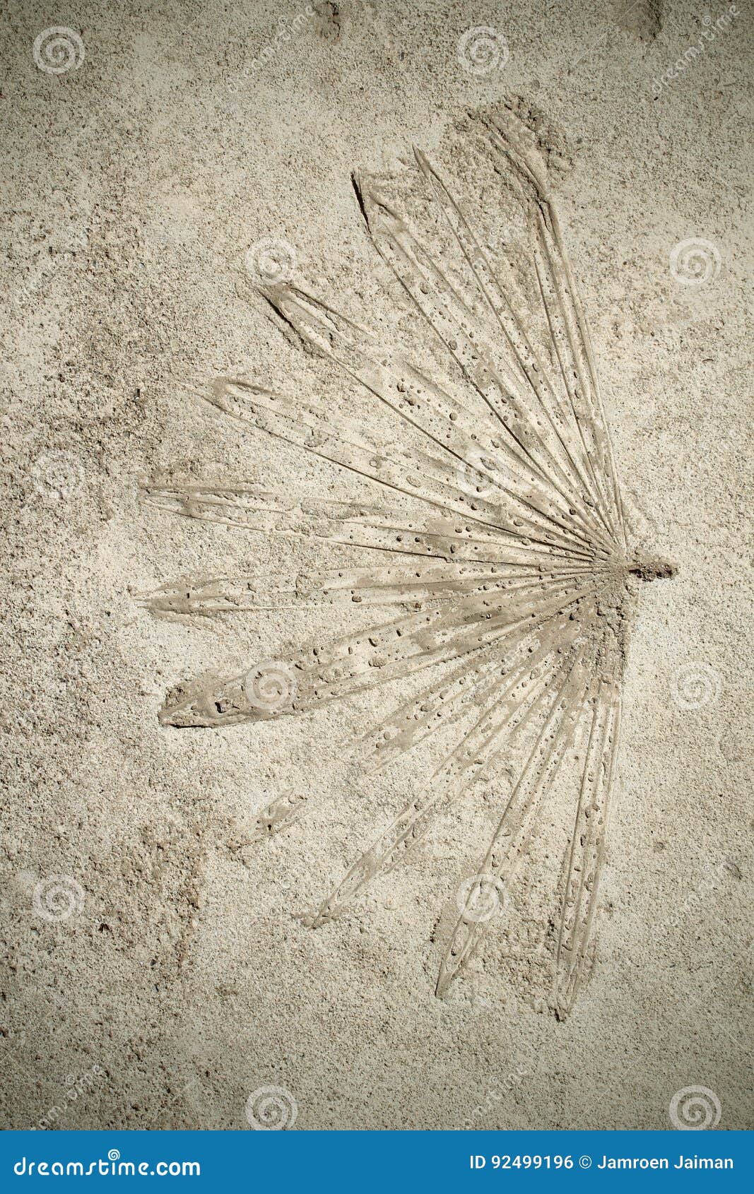 Leaf Print on Concrete Texture and Background. Stock Photo - Image of ...