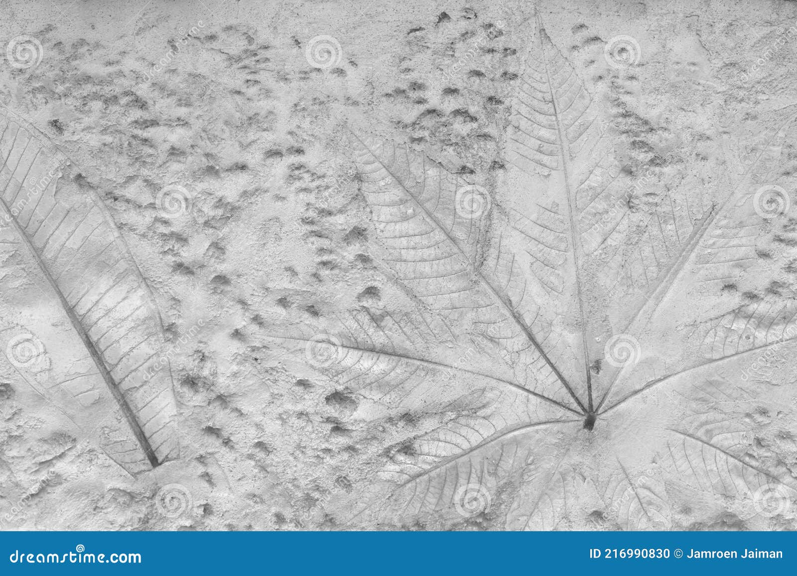 Leaf Print or Stamp of Leaf on Stone Texture Background Stock Photo ...