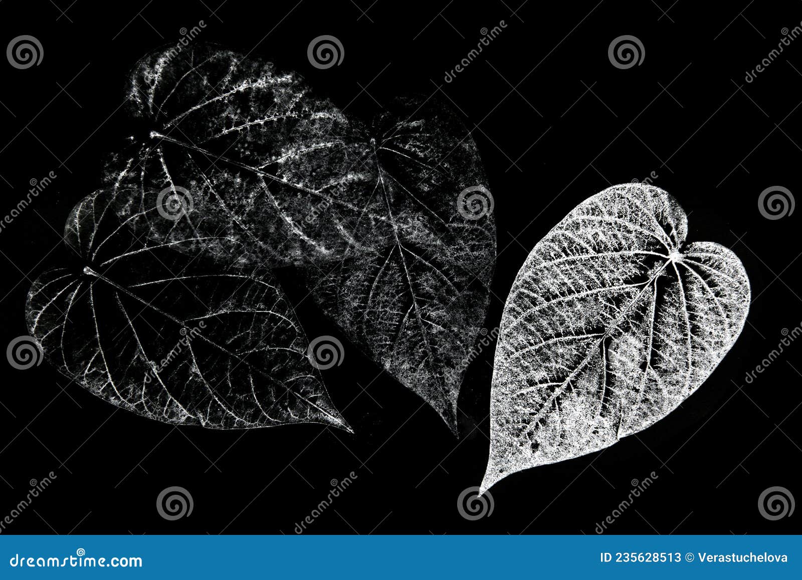 Leaf printed on paper stock illustration. Illustration of monoprint ...