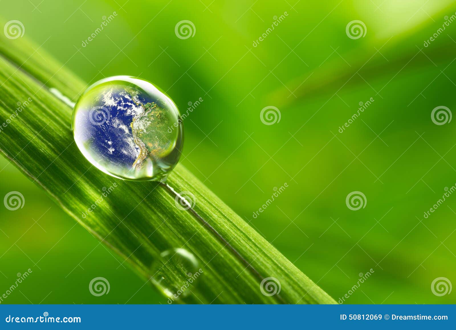 Leaf with Rain Droplets - Recovery Earth Concept Stock Image - Image of ...