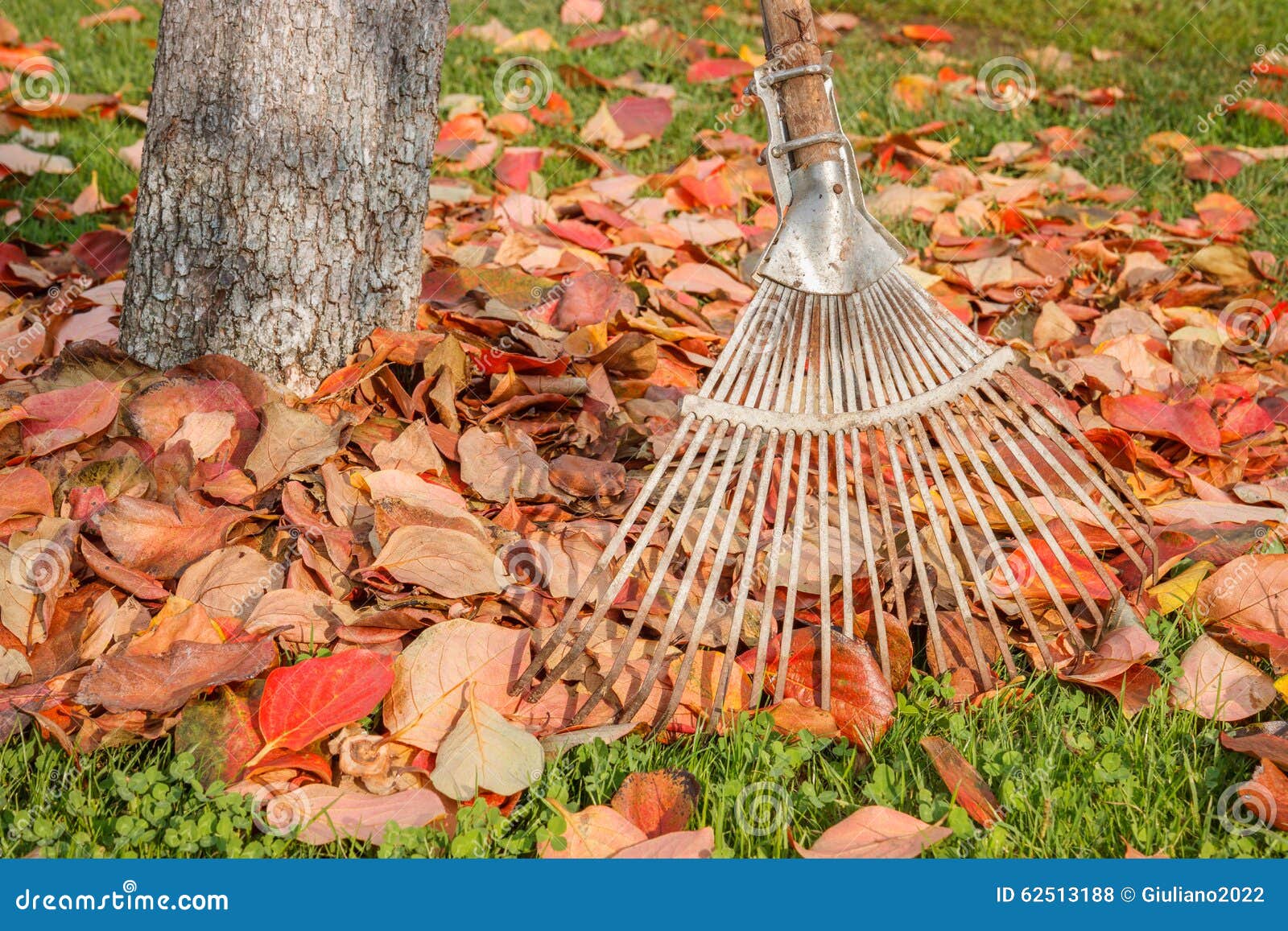 Leaf rake and leaves stack stock photo. Image of gardening - 62513188