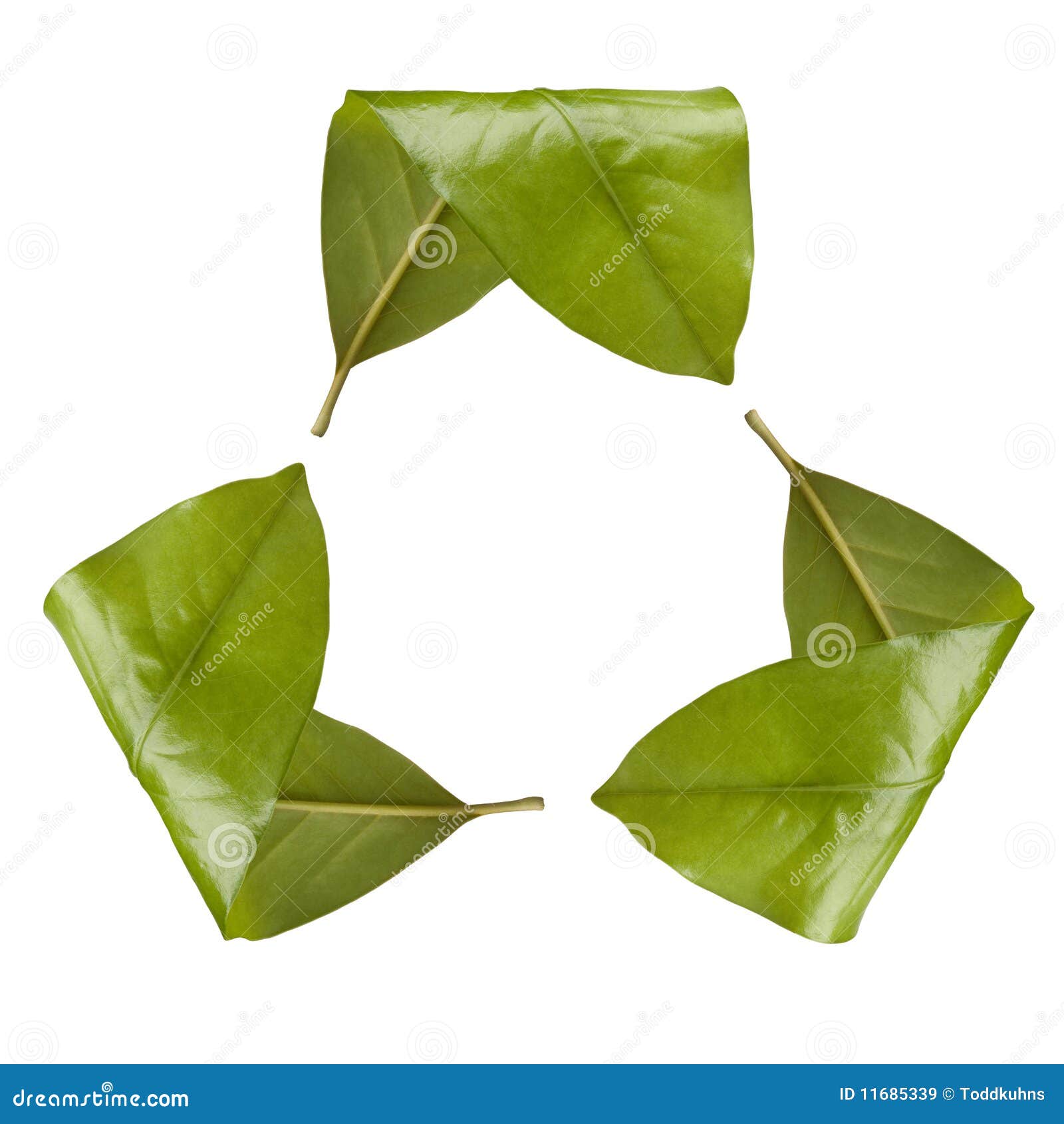 Leaf Recycling Symbol stock image. Image of recycle, health - 11685339