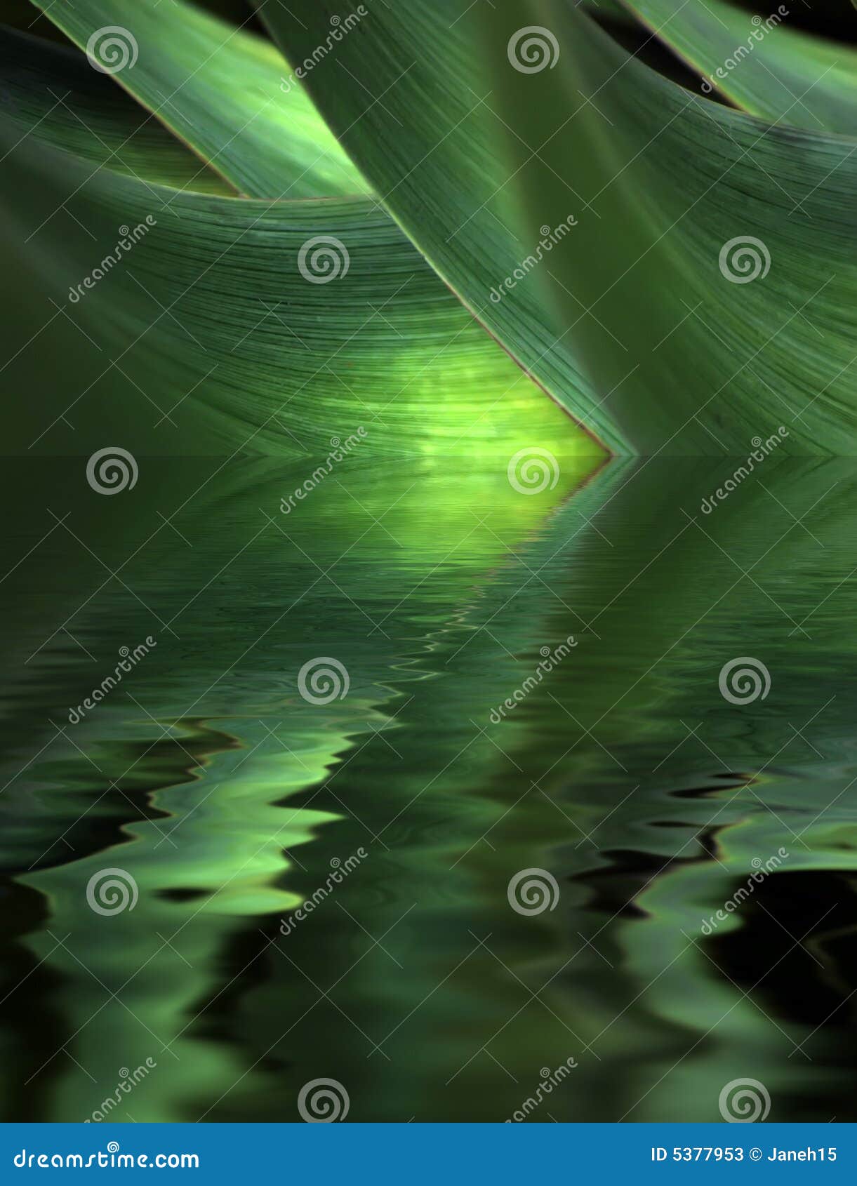 Leaf reflections stock illustration. Illustration of nature - 5377953