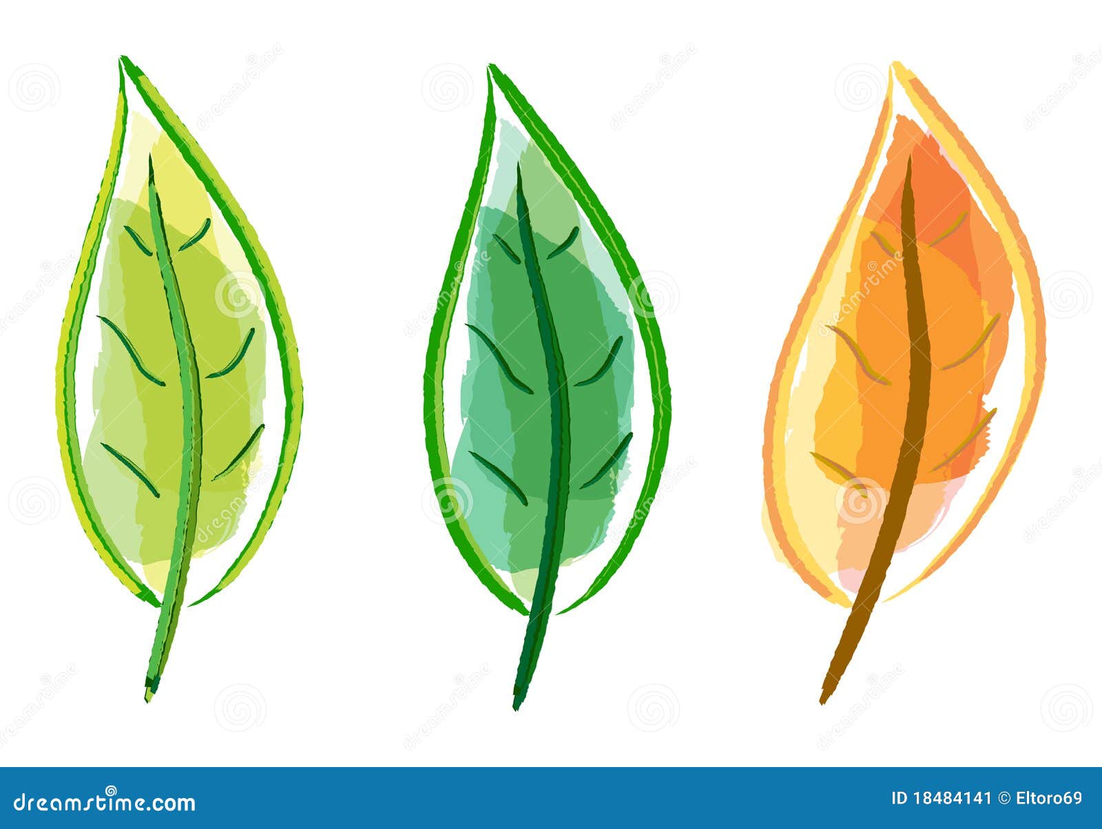 Leaf set stock vector. Illustration of leaf, summer, abstract - 18484141